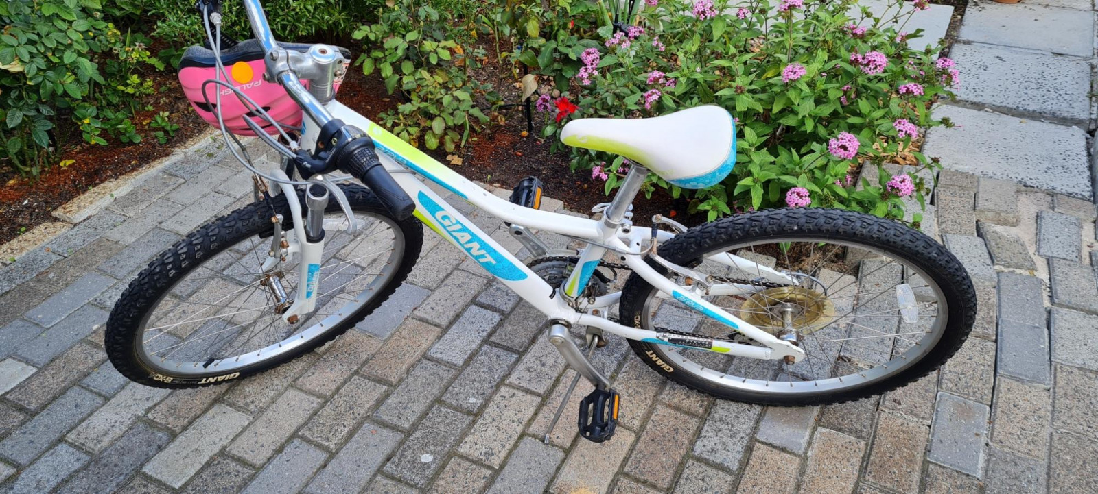 Giant Areva - Girls mountain bike | Bike Hub