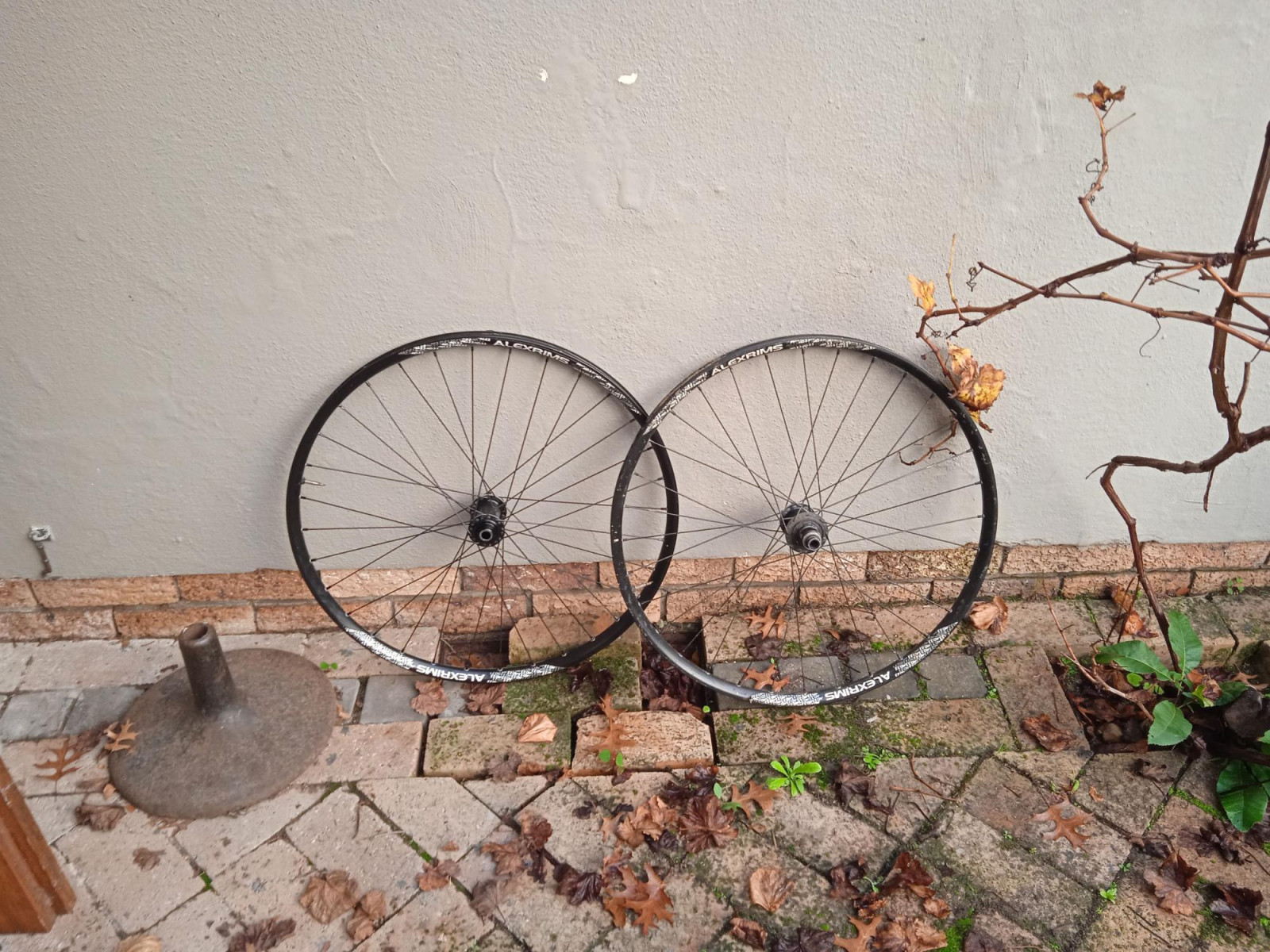 Alexrims on SRAM XO Boost hubs | Mountain Bike Wheels | Bike Hub