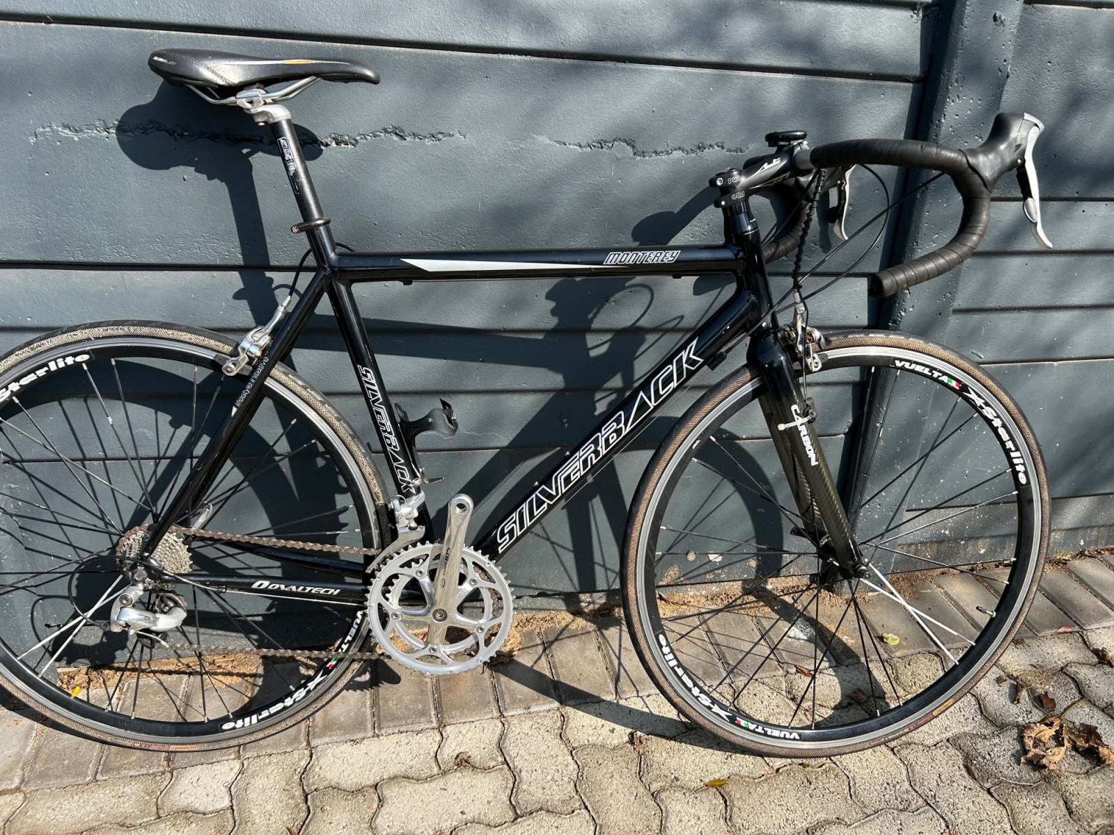 Silverback Monterey | Road Bikes | Bike Hub