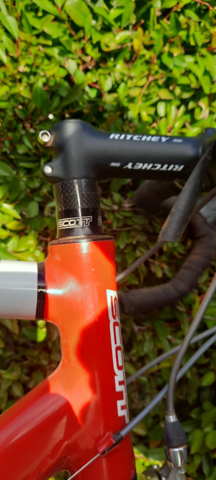 Scott Speedster | Bike Hub