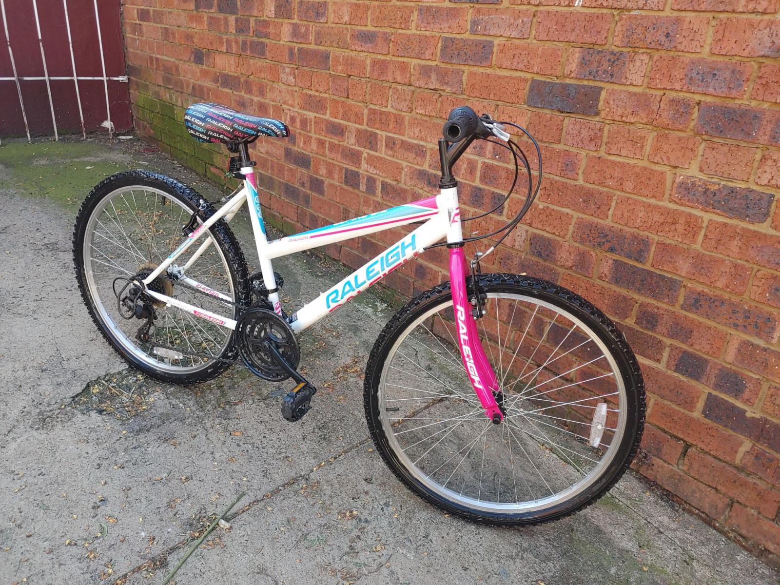 Raleigh alpine 26er | Bike Hub