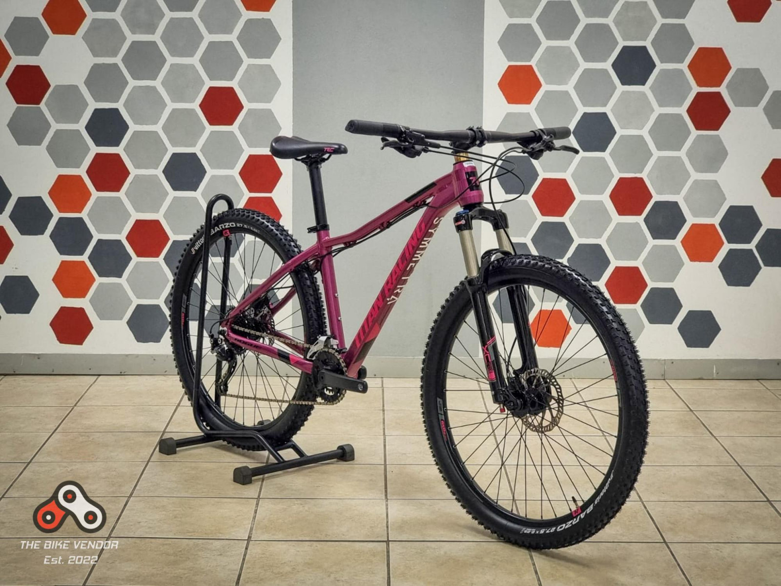 Titan Calypso Cruz - Suntour XCR30 - Shimano Altus | Hardtail Mountain ...