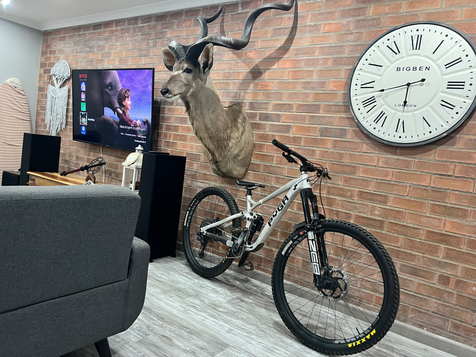 Pyga Slackline | Bike Hub