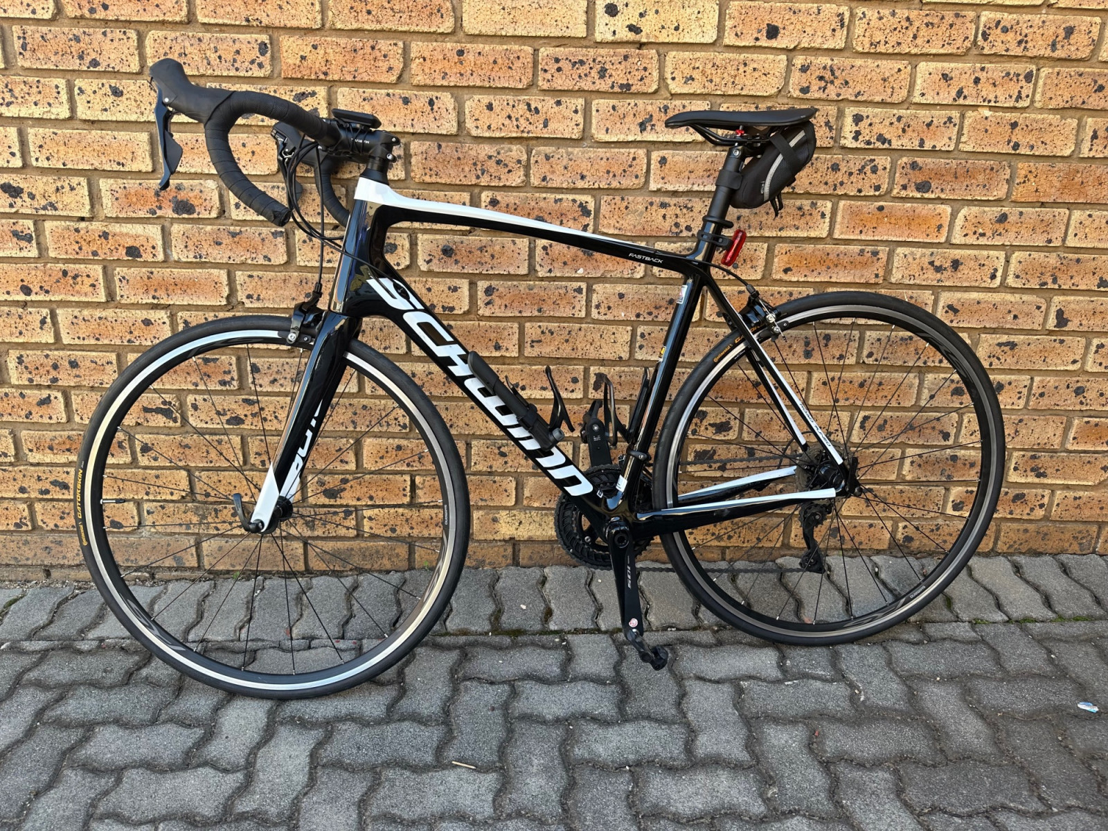 Schwinn Fastback XL | Road Bikes | Bike Hub