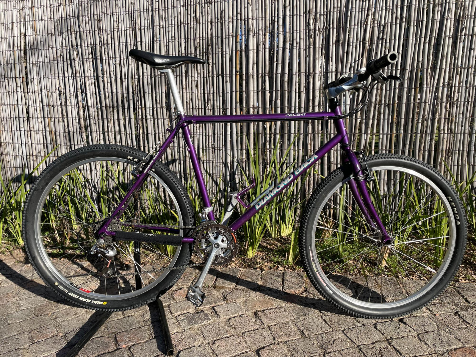 Diamond Back Ascent | Bike Hub