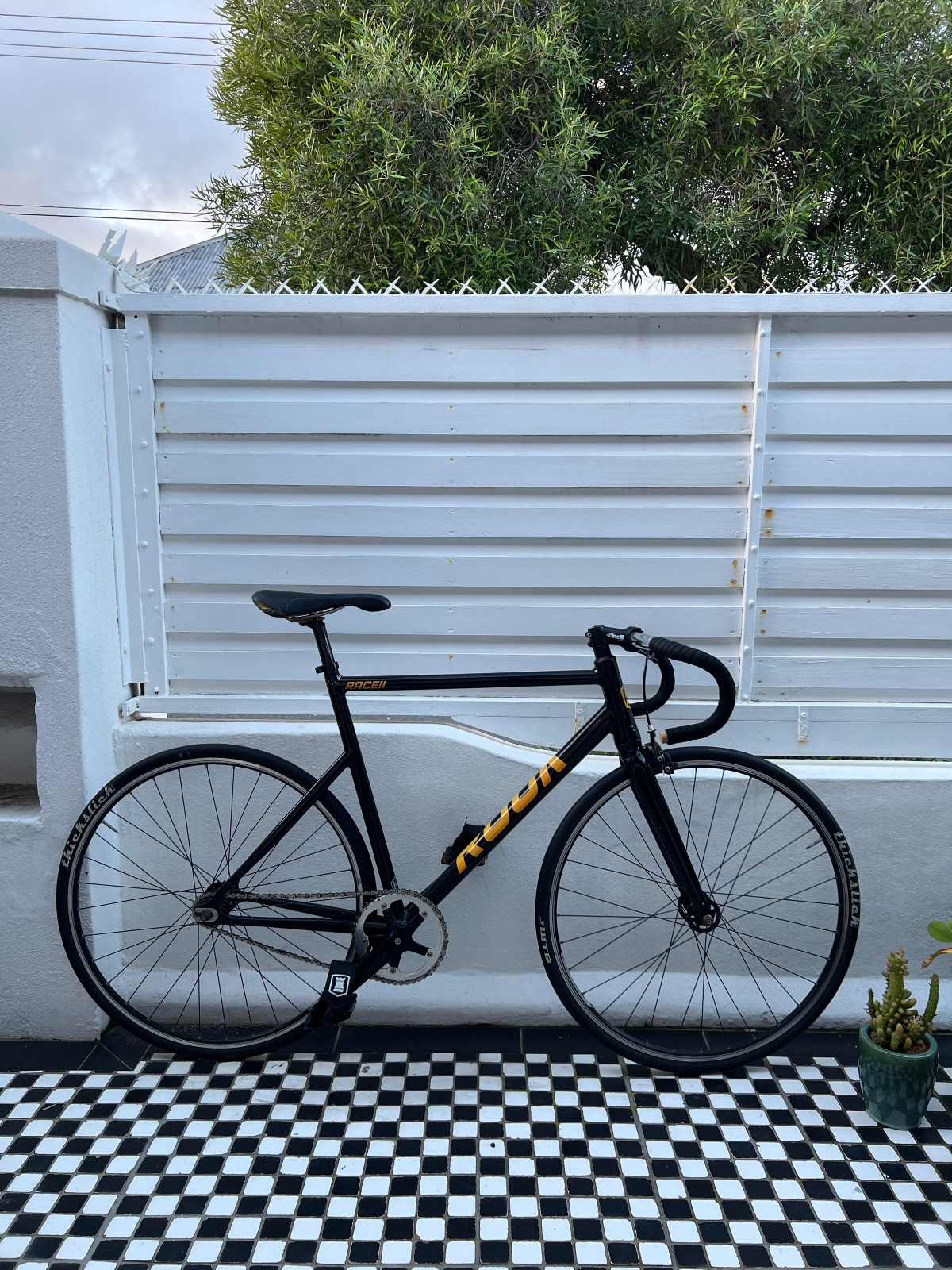 Rook Race II Single Speed/Fixed Gear | Bike Hub