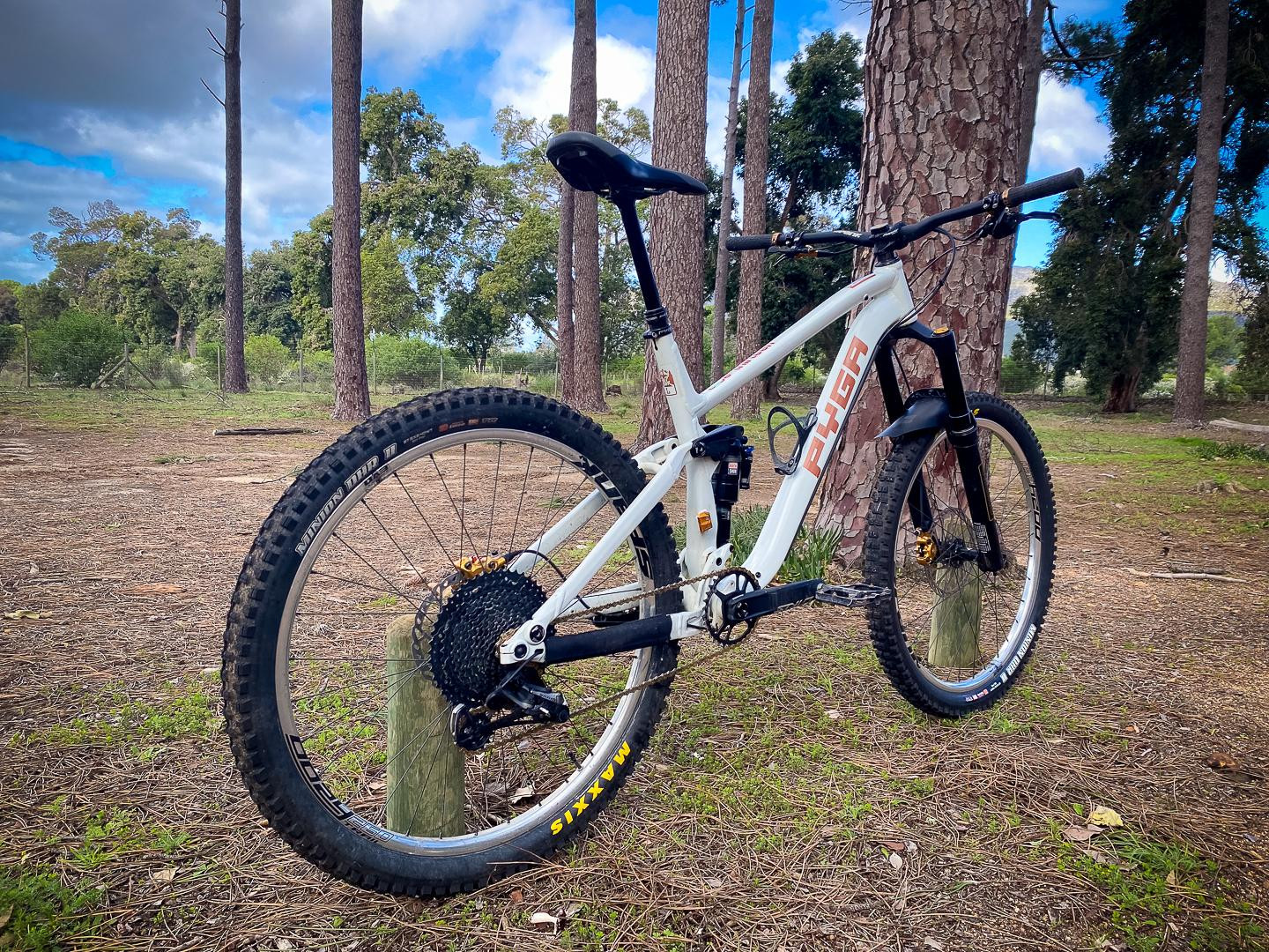 Pyga Pascoe 140 Size L | Dual Suspension Mountain Bikes | Bike Hub