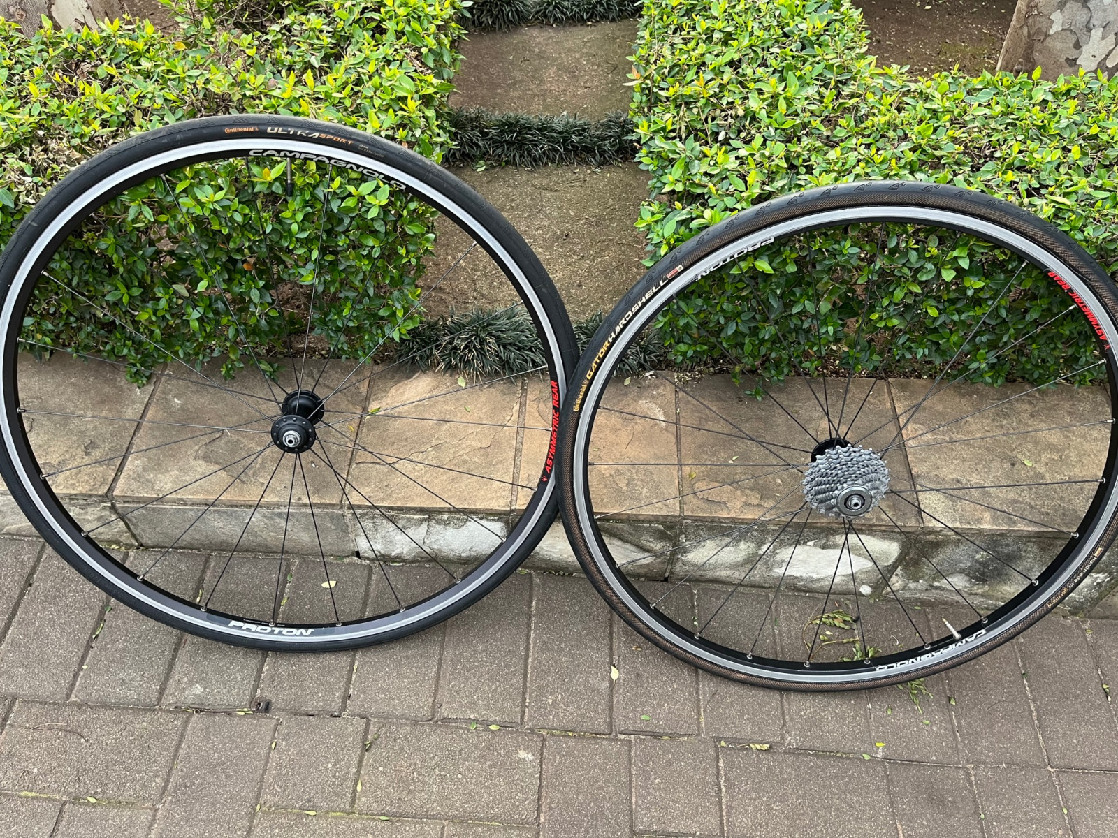 Campagnolo proton | Road Bike Wheels | Bike Hub