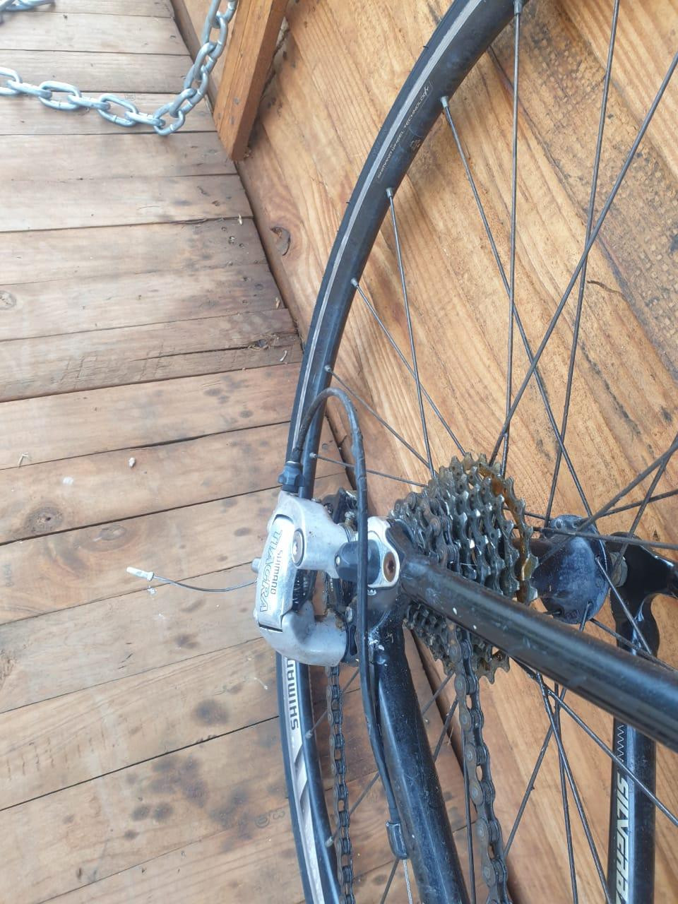 Silverback Arizona | Road Bikes | Bike Hub