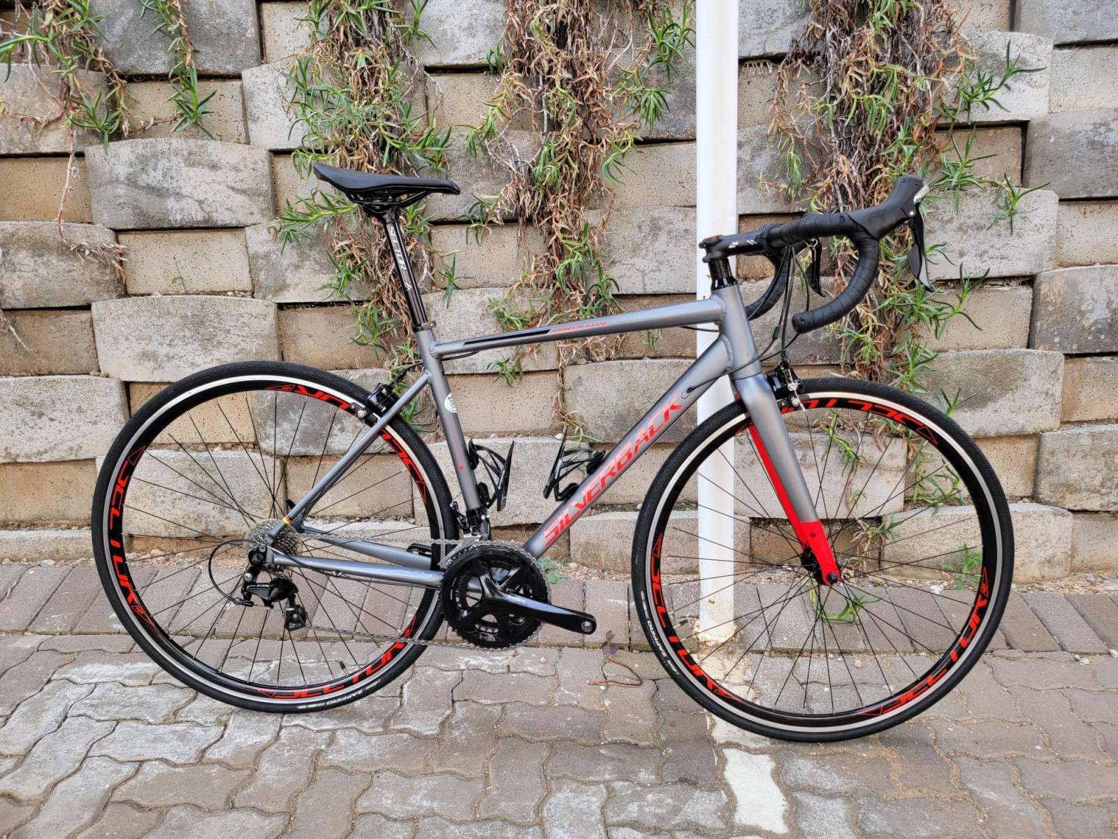 Silverback Strela Elite SHIMANO 105 | Road Bikes | Bike Hub
