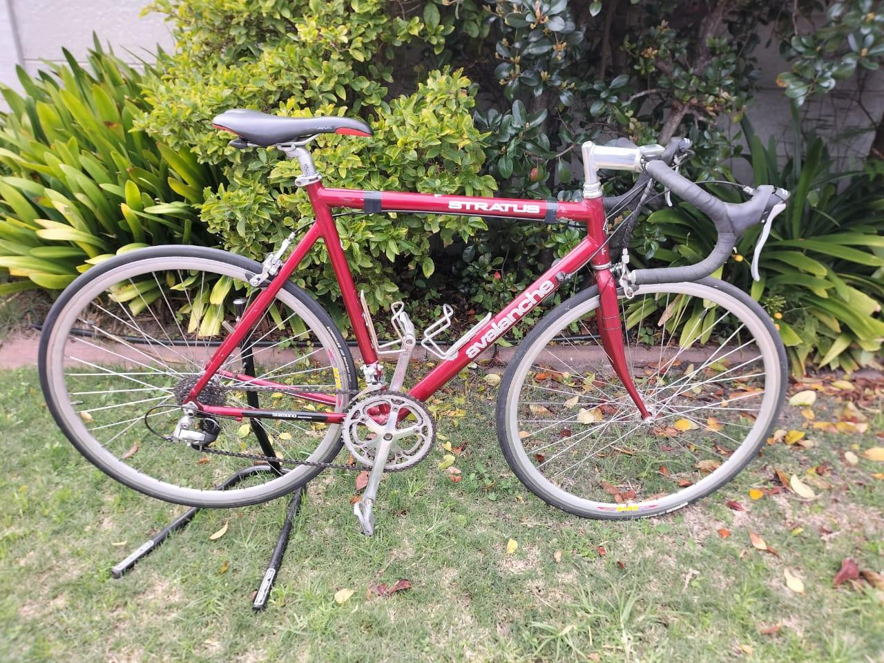 Avalanche Stratus | Bike Hub