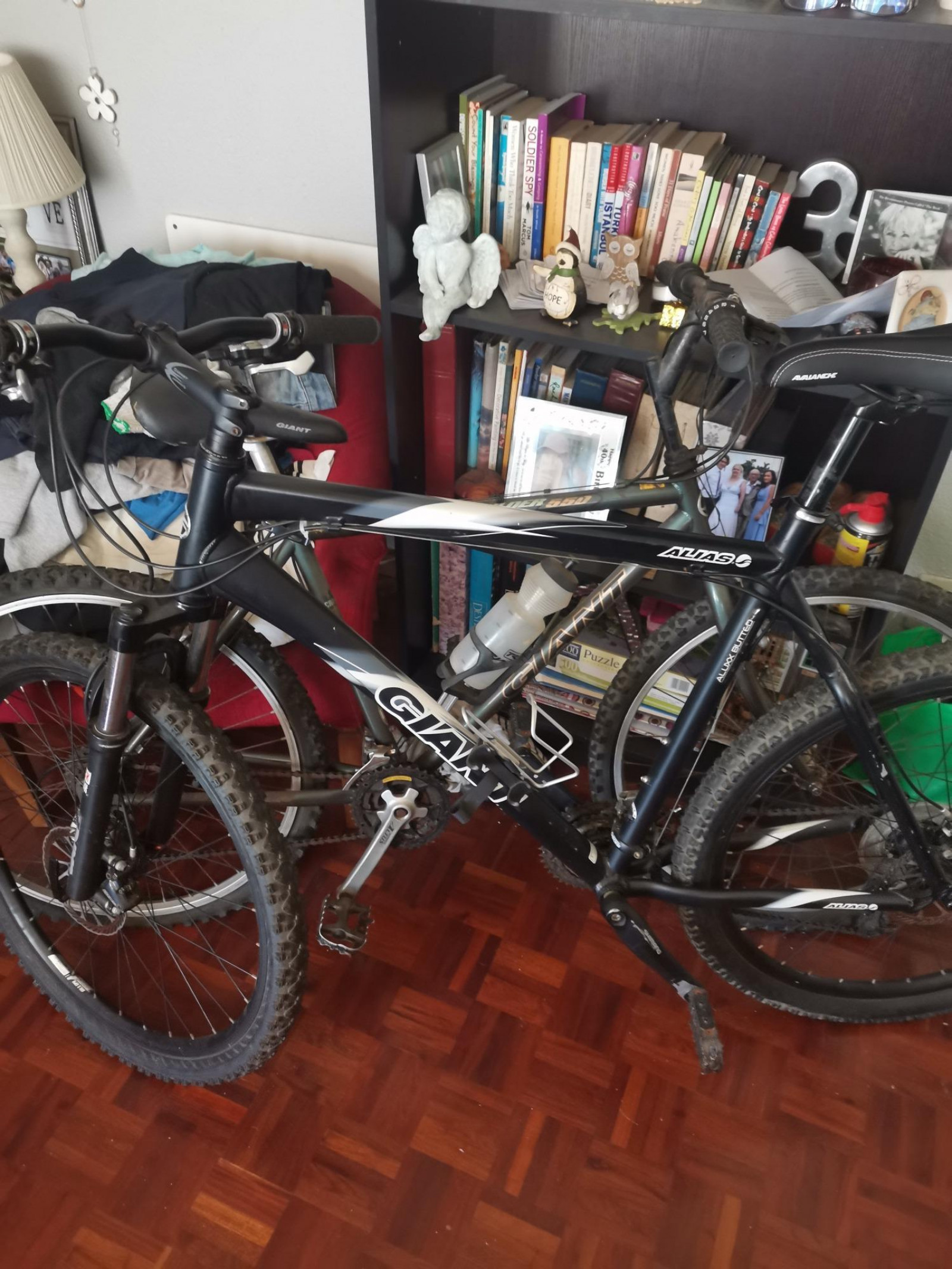 Alias Giant Mountain bike for sale | Hardtail Mountain Bikes | Bike Hub