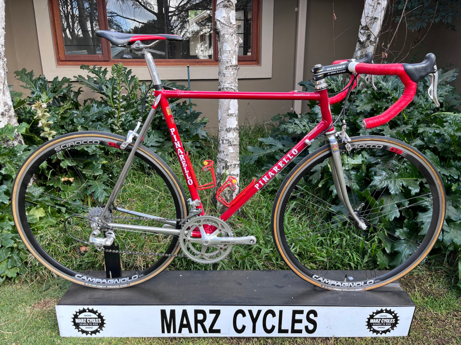 *Vintage* Pinarello Montello Steel Campag - 56cm | Vintage Bikes | Bike Hub