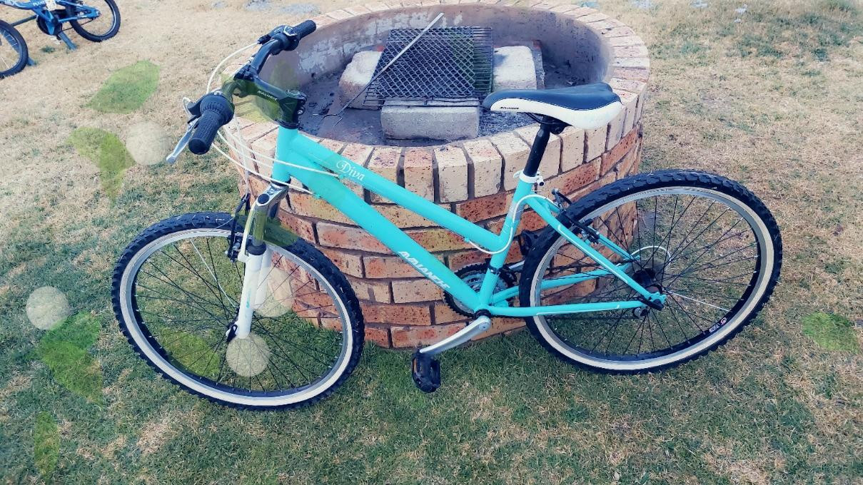 Ladies Avalanche | Dual Suspension Mountain Bikes | Bike Hub