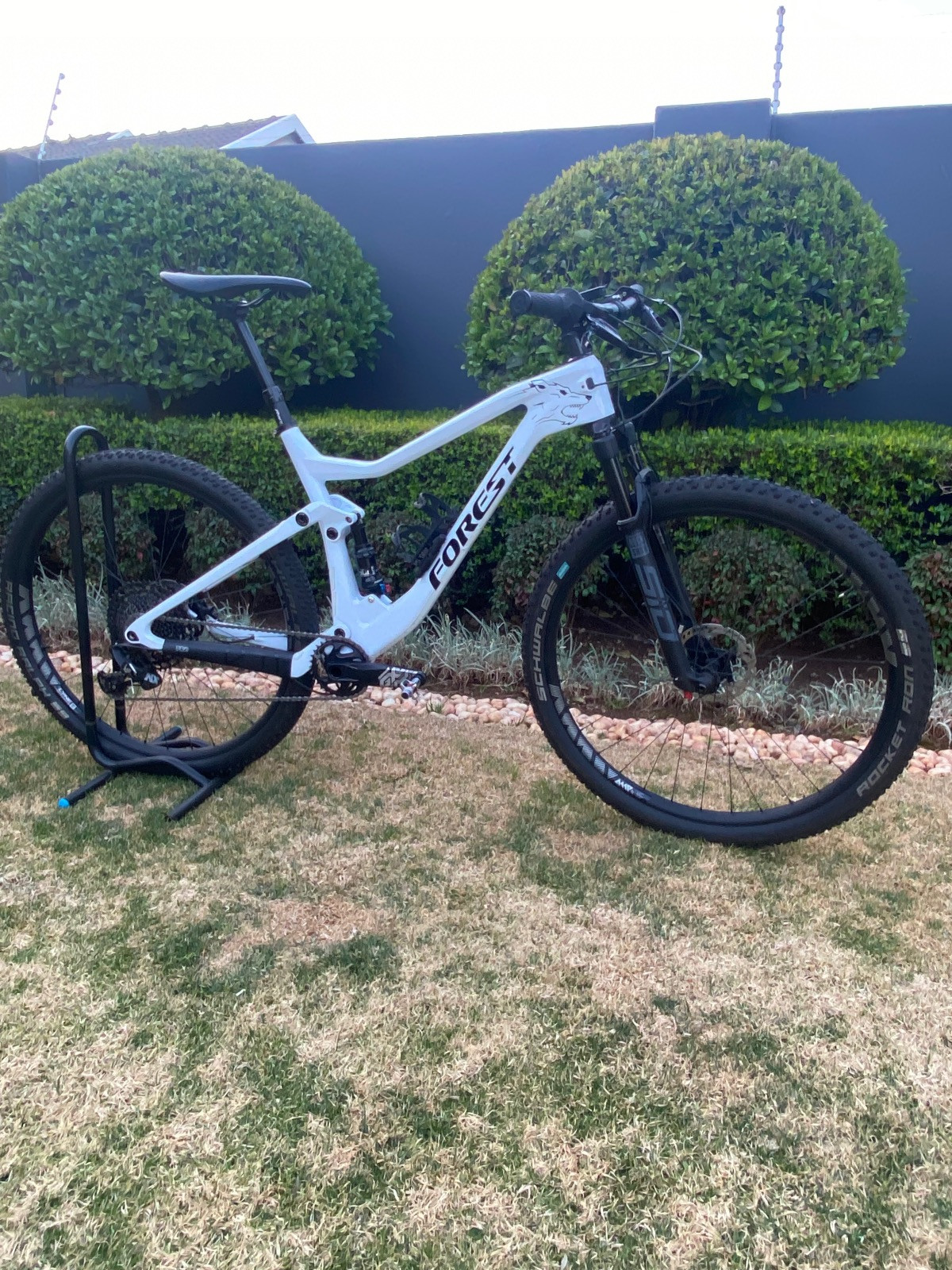 Forest 29er Mtb | Dual Suspension Mountain Bikes | Bike Hub