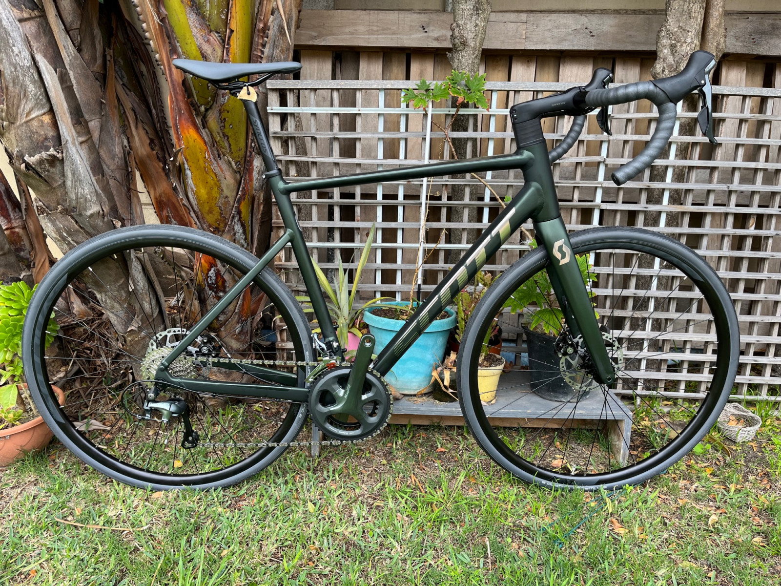 Scott Speedster 2022 ( price drop) | Road Bikes | Bike Hub