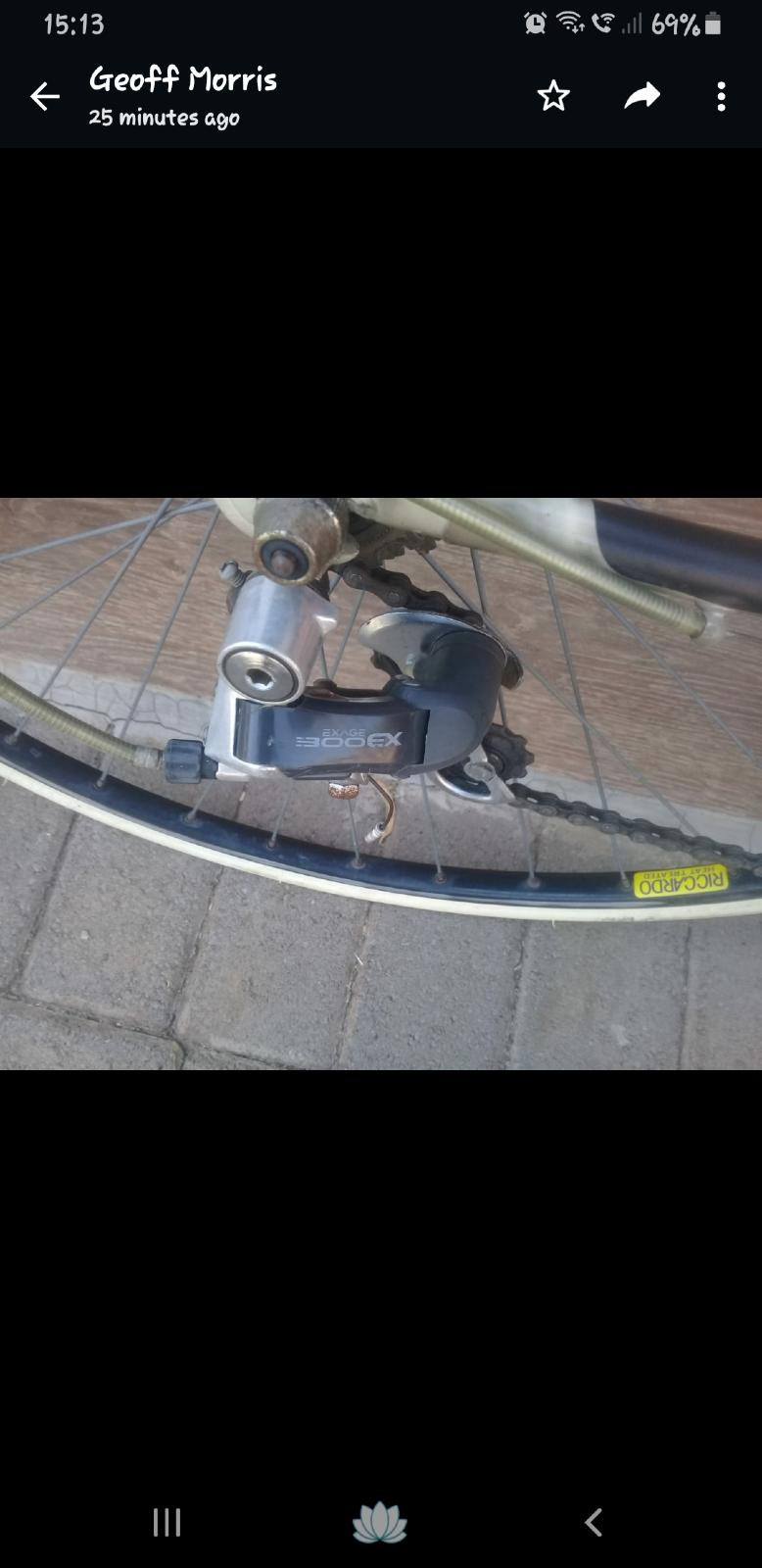 Alpina racing bike | Vintage Bikes | Bike Hub