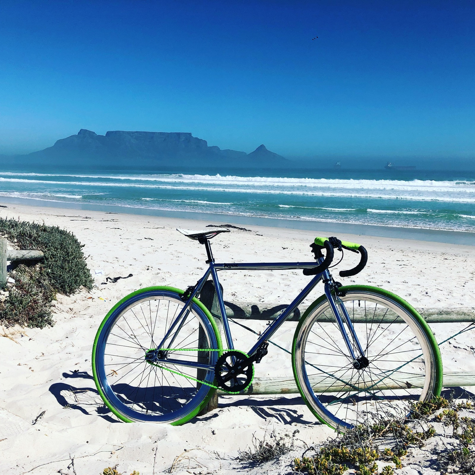 Rook 1 single speed/fixi | Track Bikes | Bike Hub