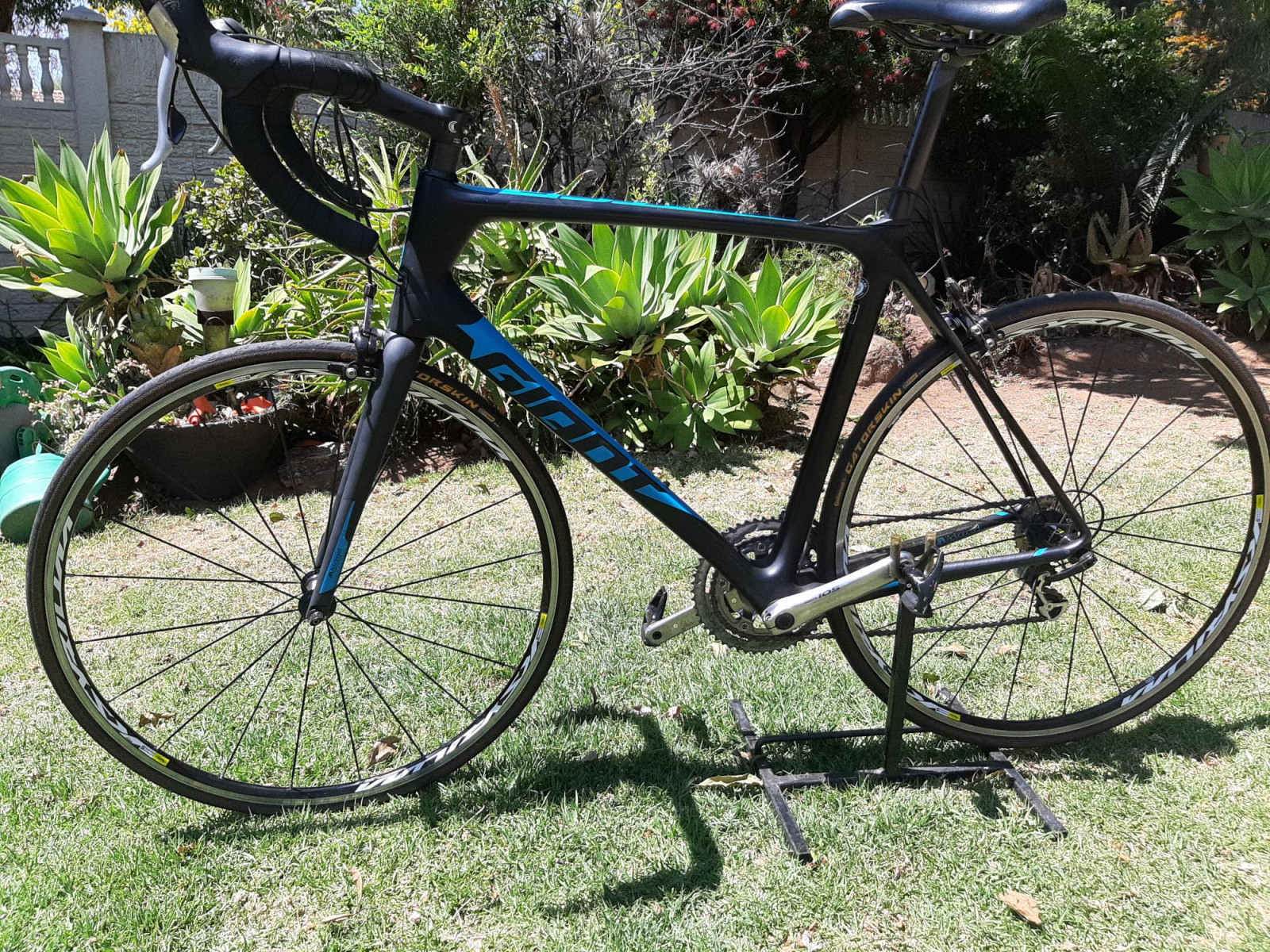 Reduced / Giant TCR PRO | Road Bikes | Bike Hub