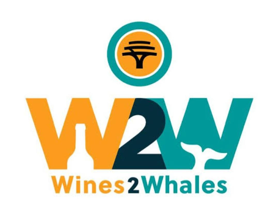 W2W Shiraz team entry | Event Entries | Bike Hub