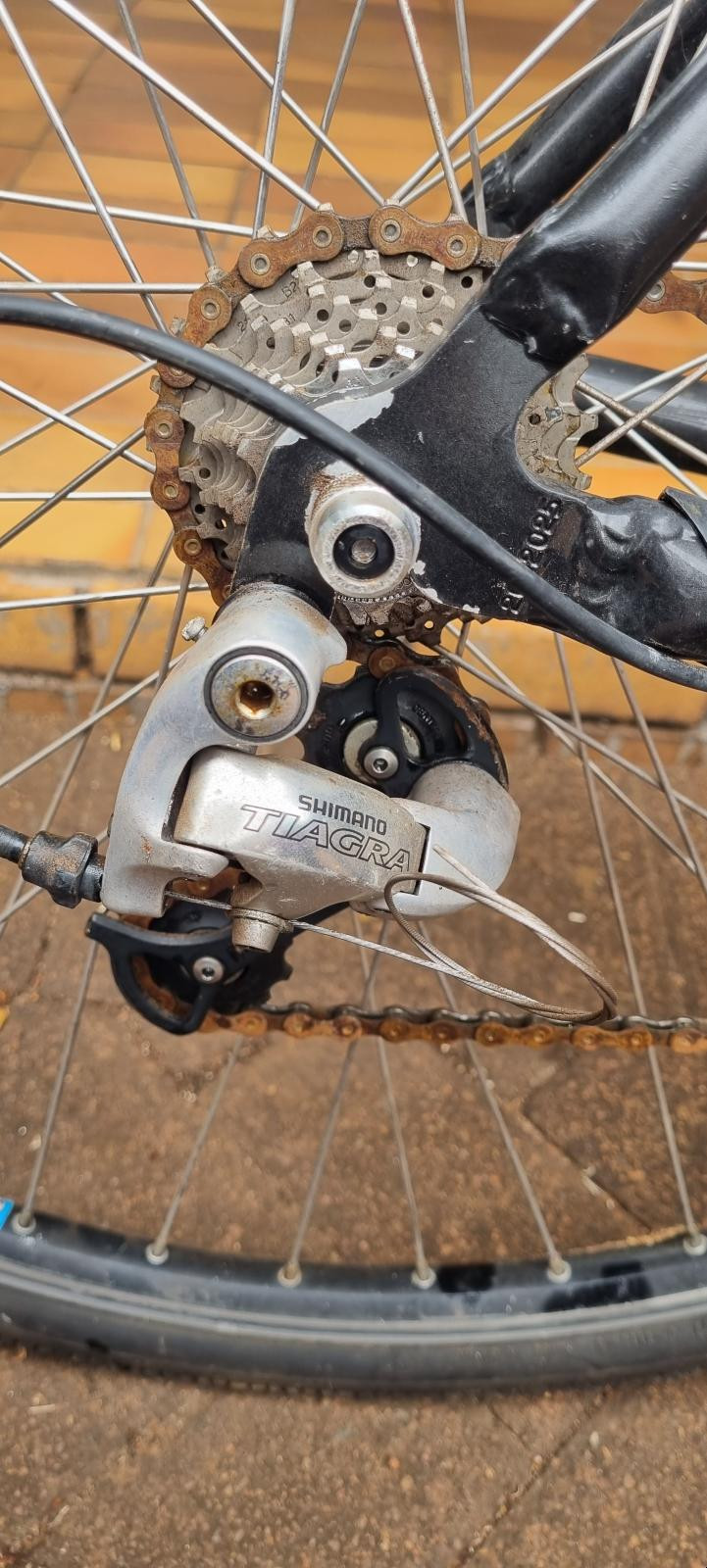Hansom Tandem price drop | Tandem Road Bikes | Bike Hub