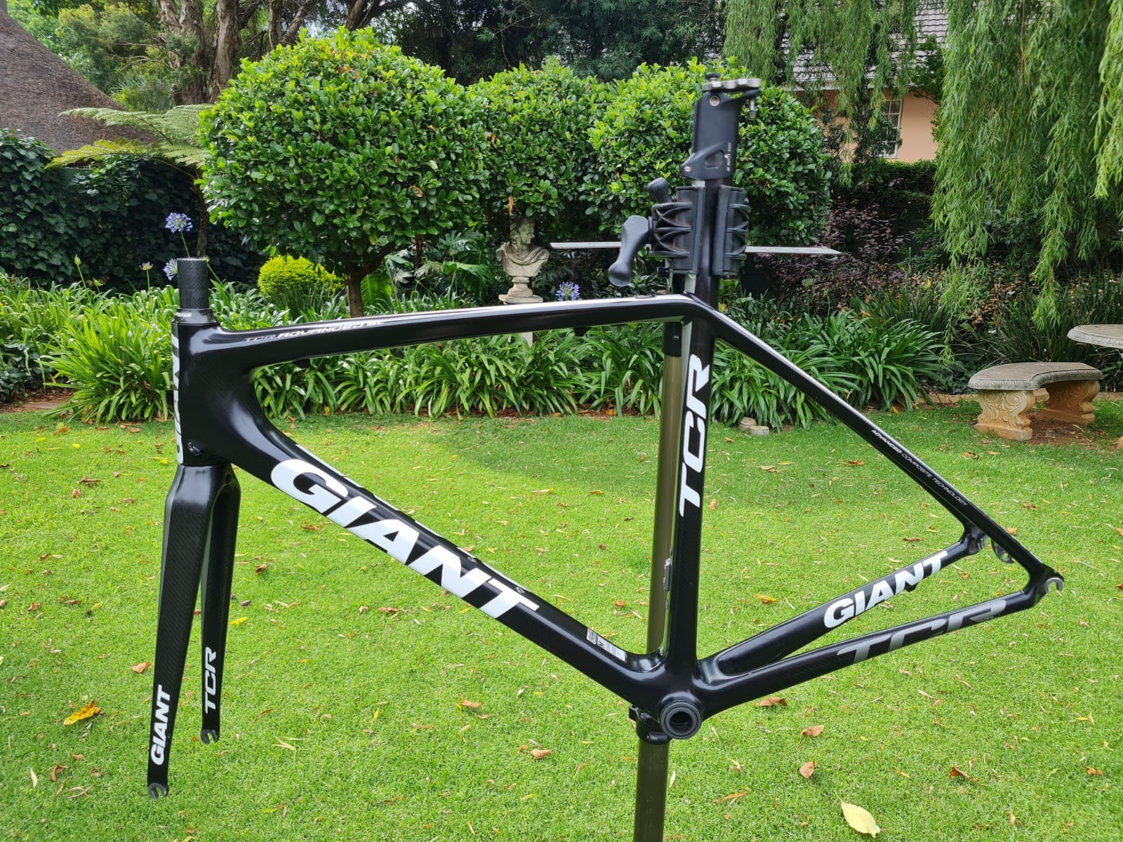 Medium Giant TCR | Road Bike Frames | Bike Hub