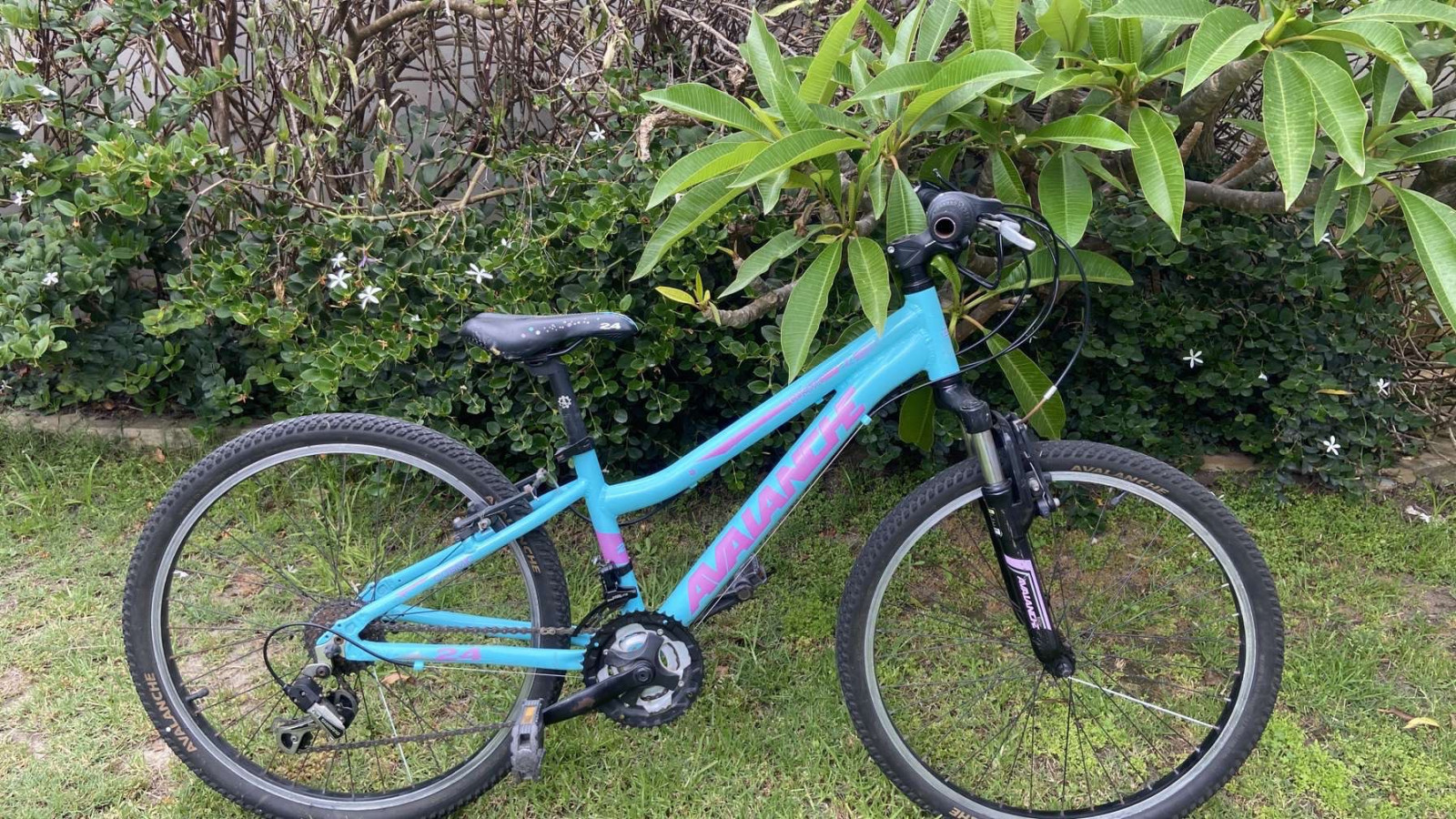 Avalanche Cosmic | Hardtail Mountain Bikes | Bike Hub