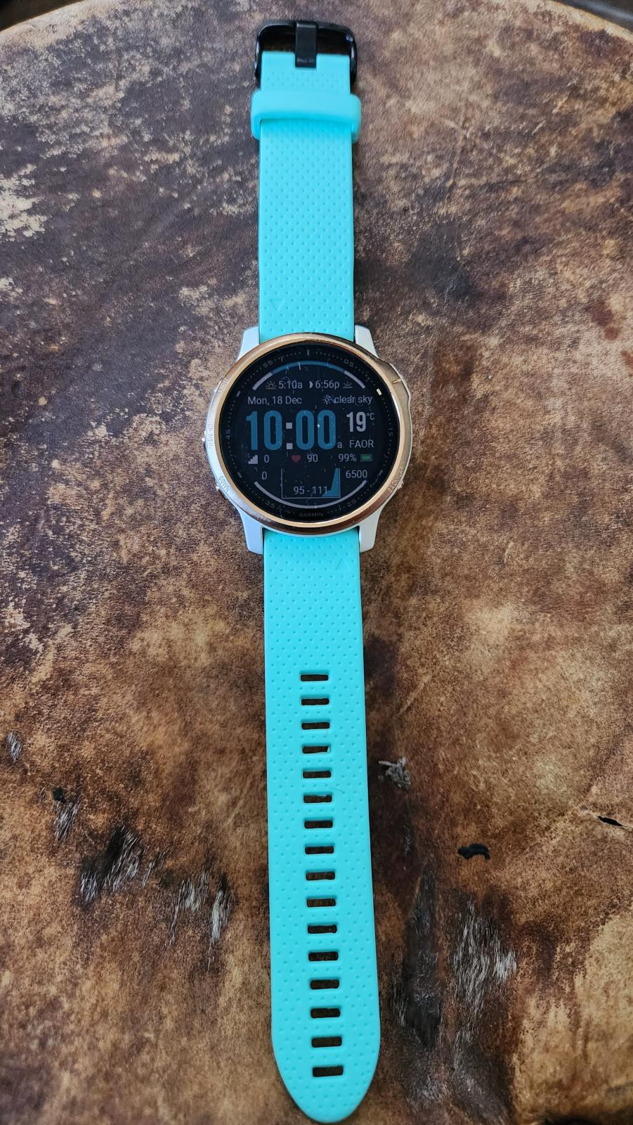 Garmin 6s Pro | Watches & Wearables | Bike Hub