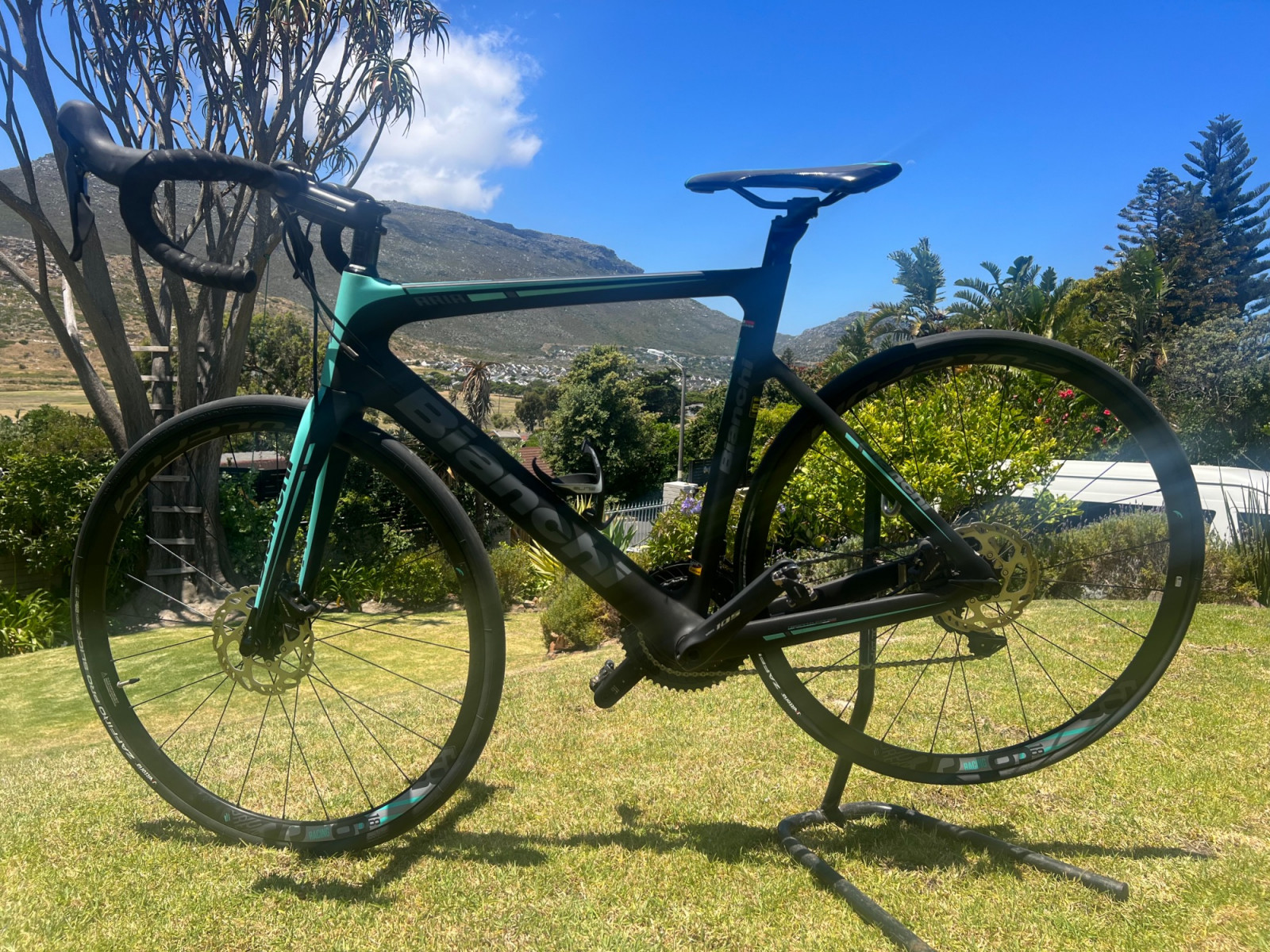 2019 Bianchi Aria Ultegra | Road Bikes | Bike Hub