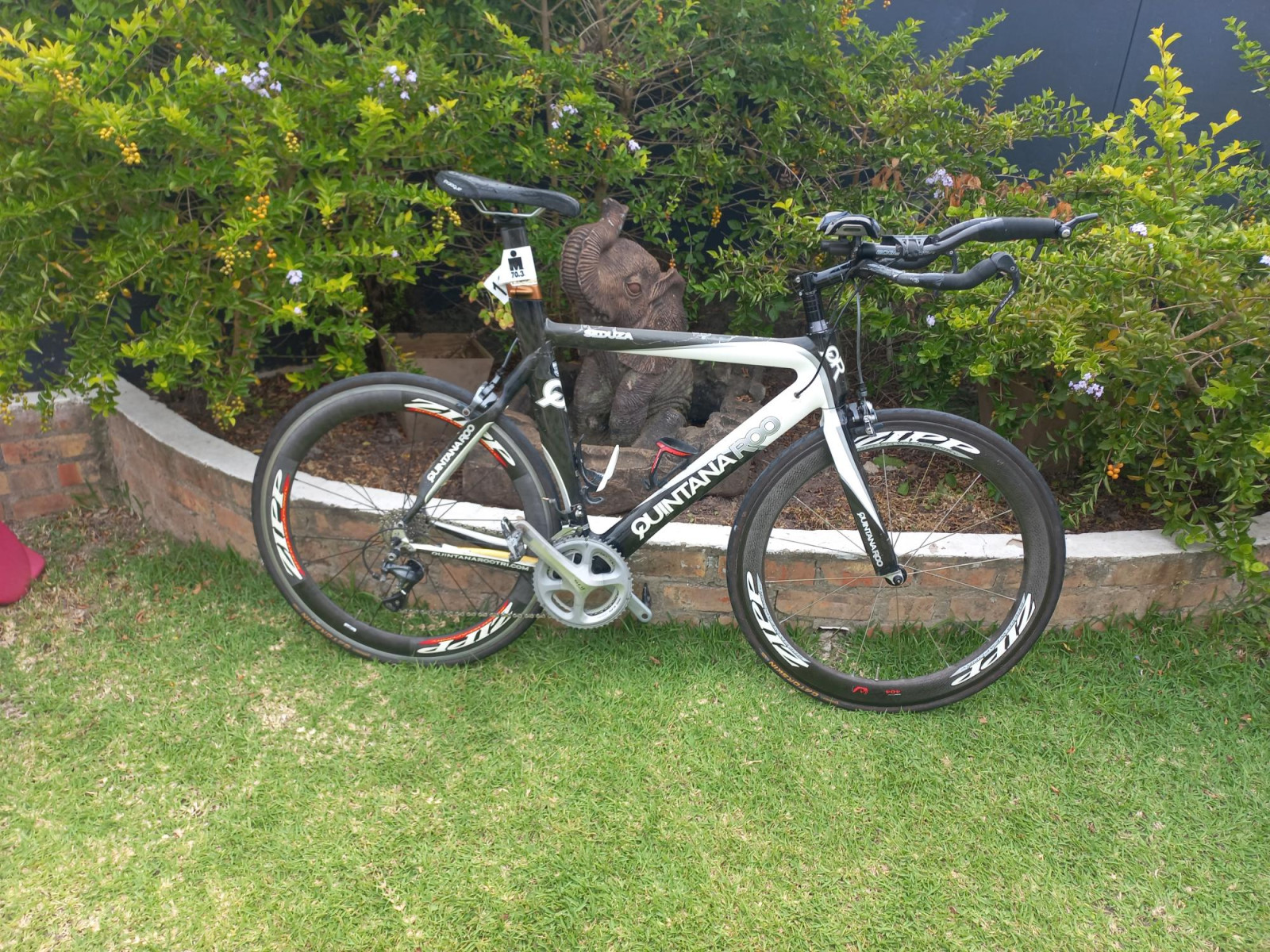 QUINTANAROO SEDUZA FULL CARBON incl zipps | Triathlon & Time Trial ...