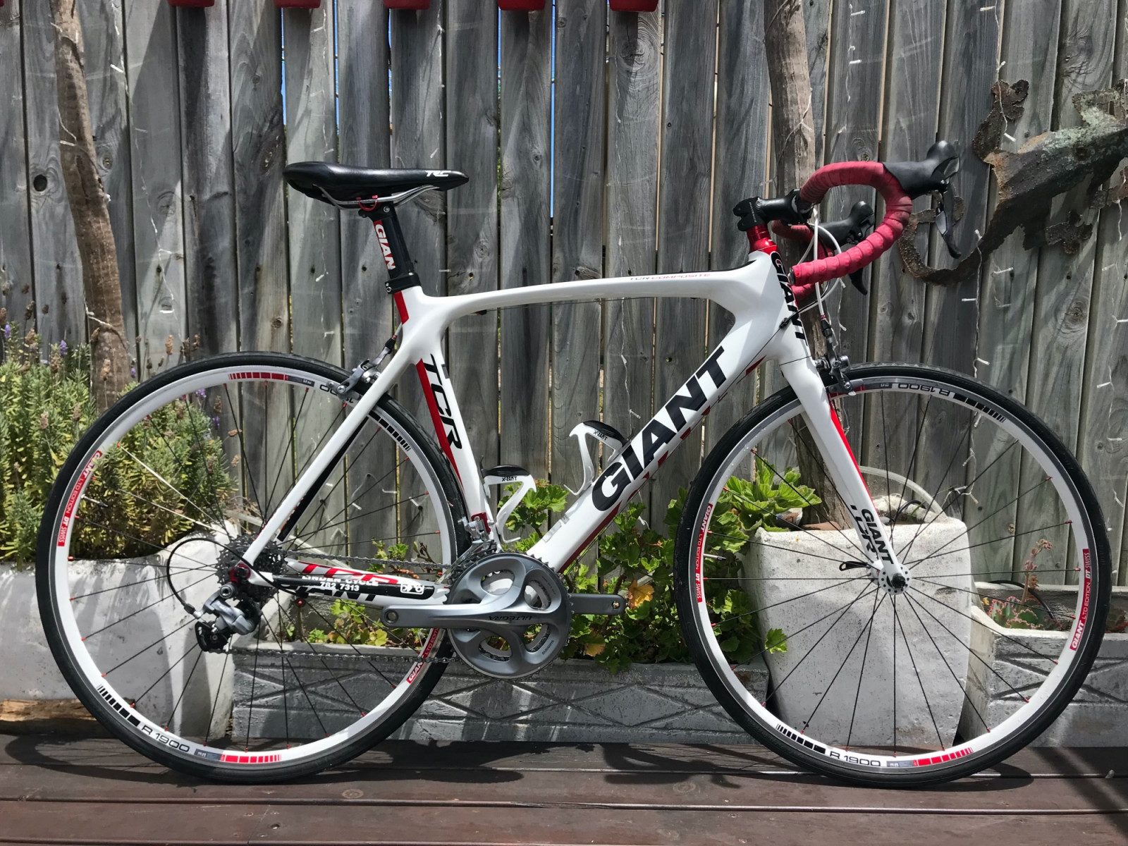 Giant TCR Carbon | Road Bikes | Bike Hub