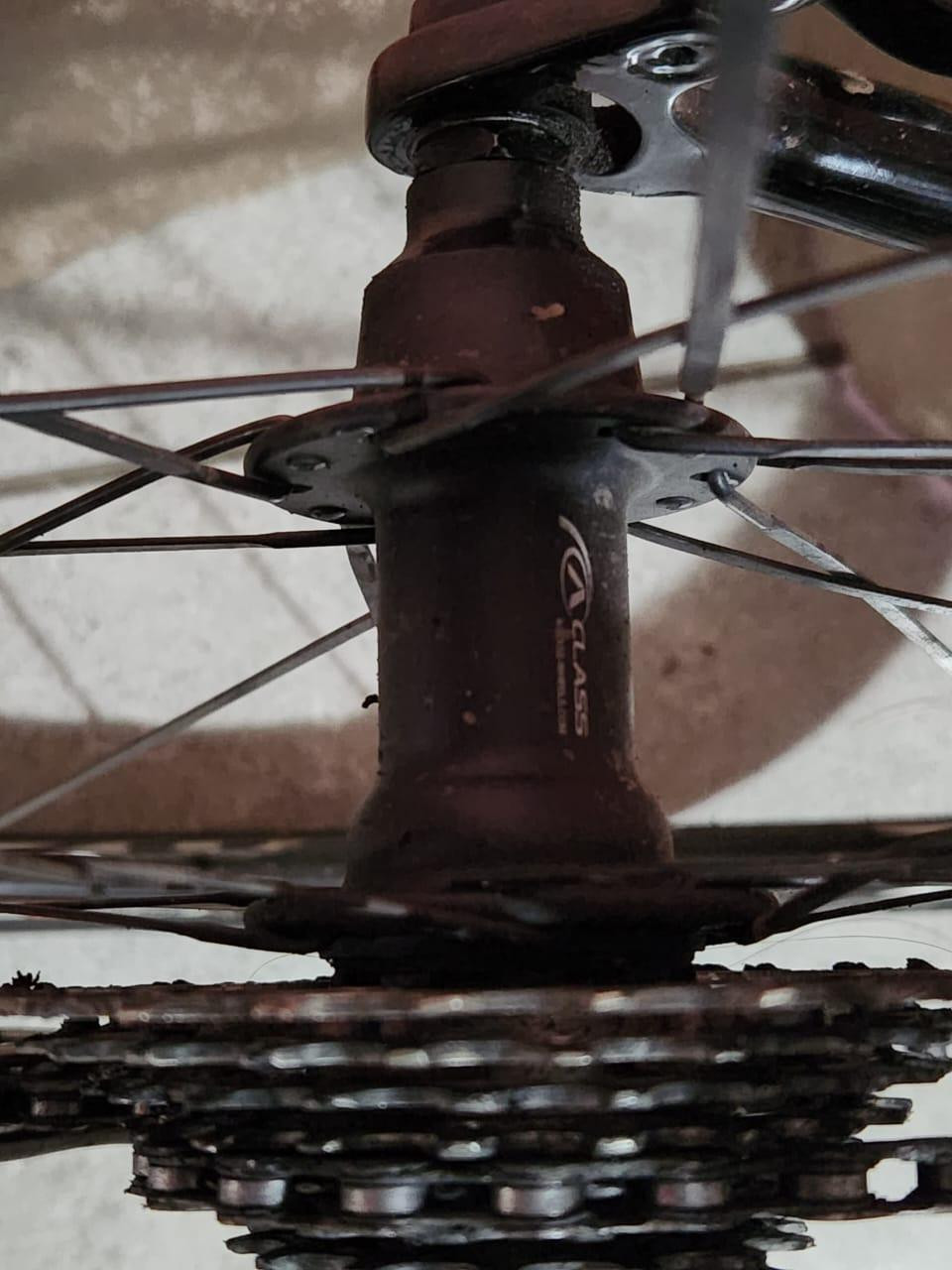 Scattante Carbon | Road Bikes | Bike Hub