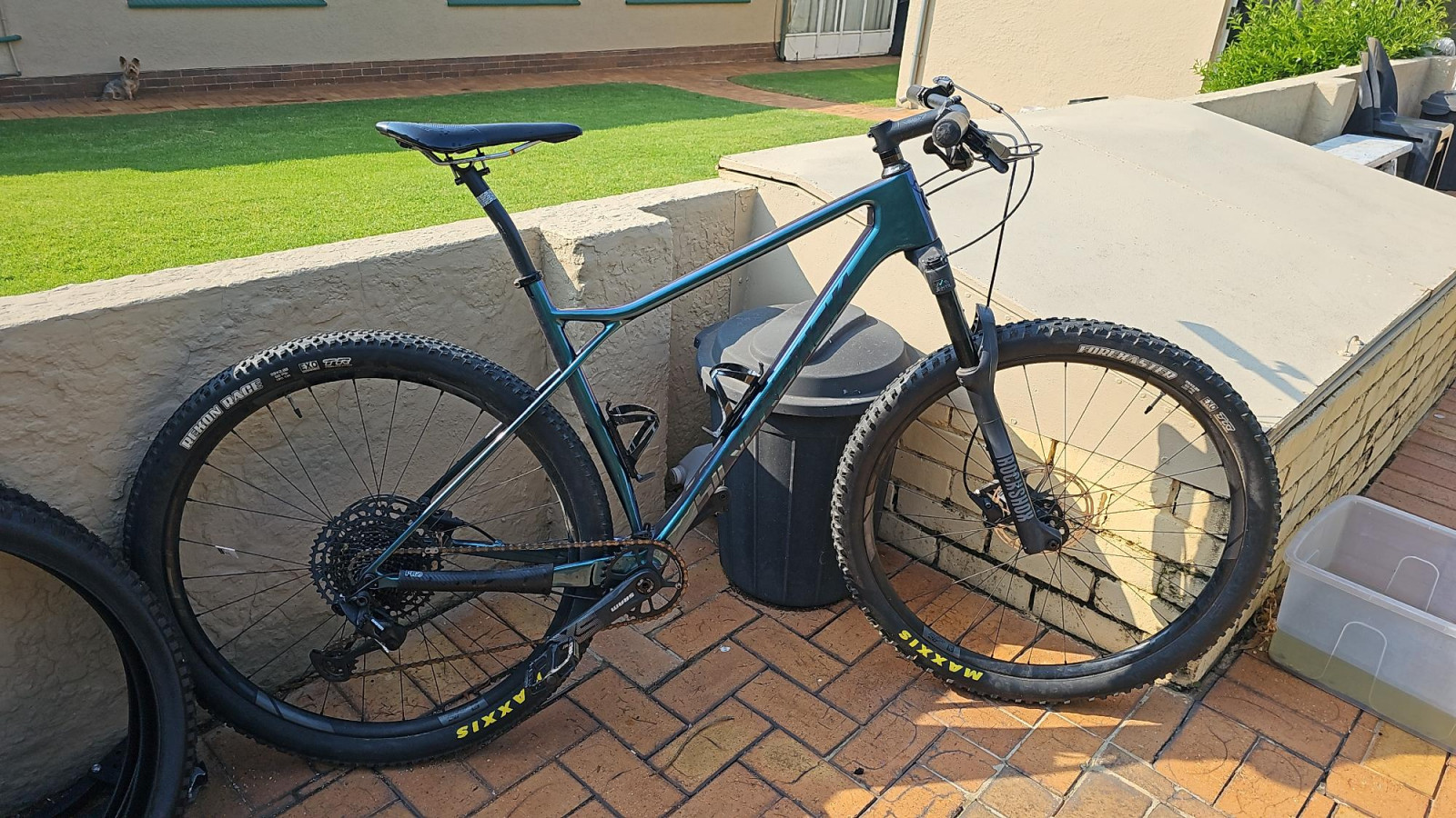 Silverback Superspeed Elite Carbon | Hardtail Mountain Bikes | Bike Hub