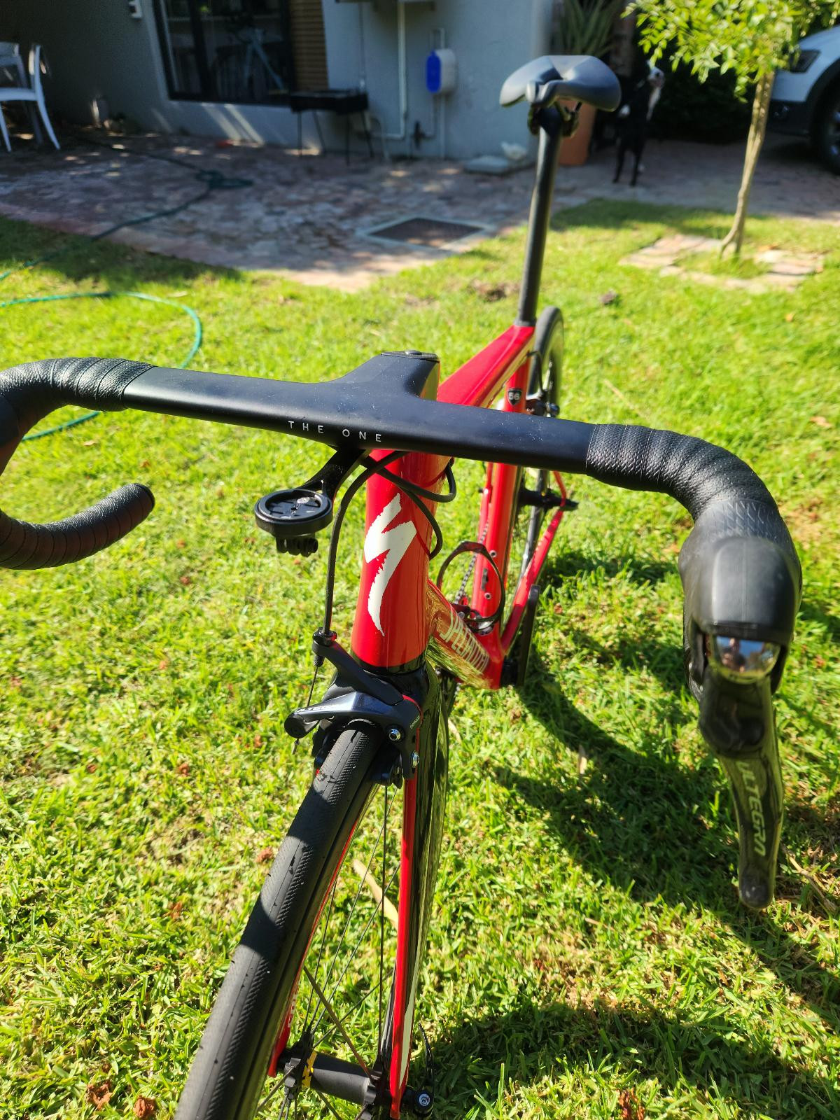 Specialized Tarmac SL6 Expert | Road Bikes | Bike Hub