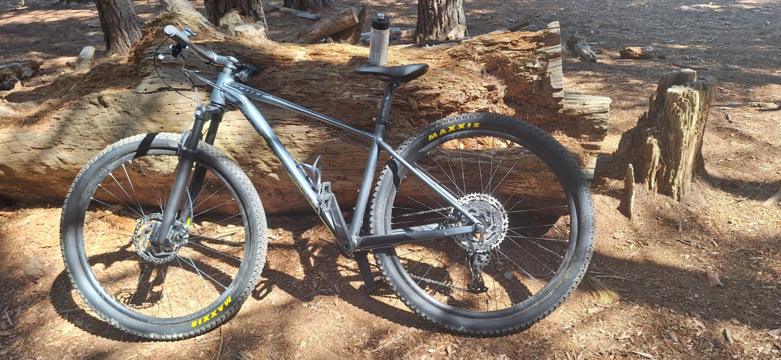 SCOTT SCALE 980 2022 M 29" | Hardtail Mountain Bikes | Bike Hub