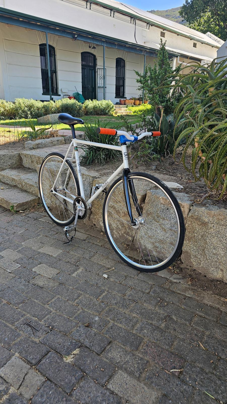 Zini Cicli Track Bike / Fixie | Track Bikes | Bike Hub