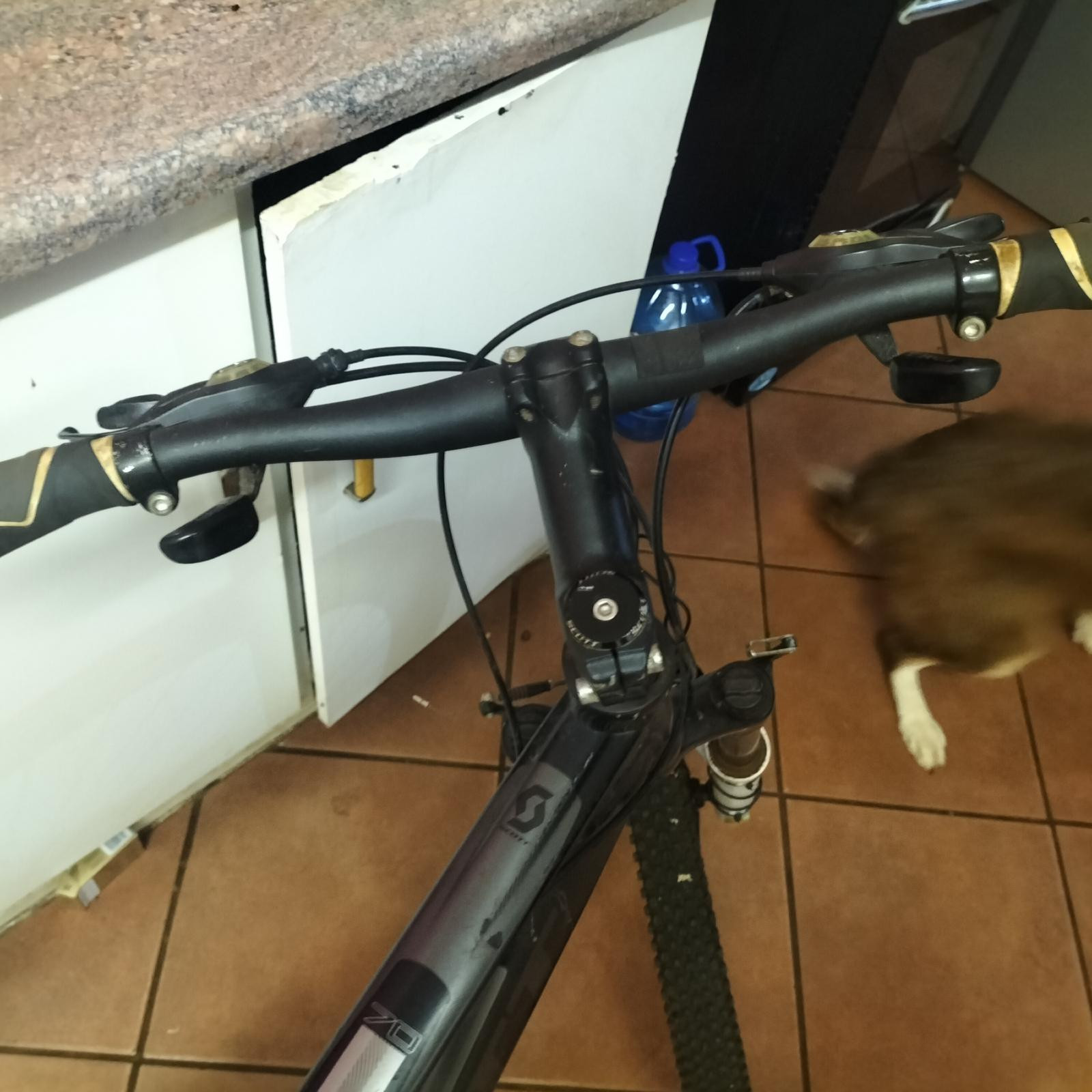 Scott scale 70 | Hardtail Mountain Bikes | Bike Hub