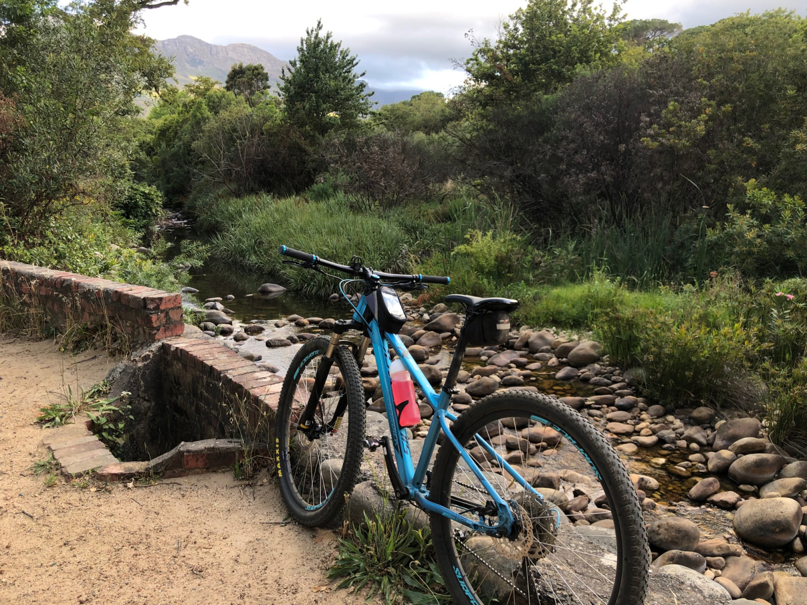 Ladies Silverback Splash Elite | Hardtail Mountain Bikes | Bike Hub