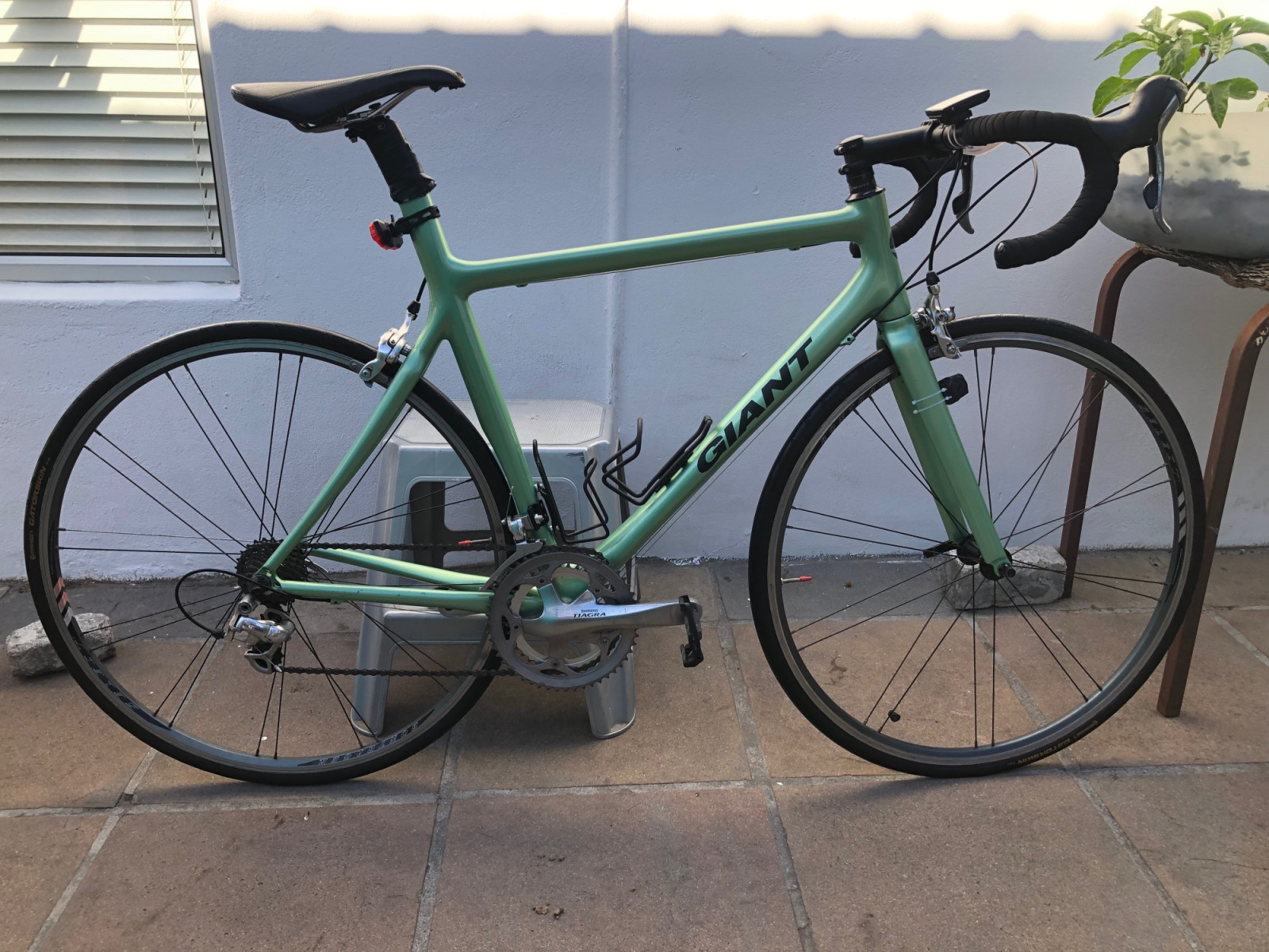 Carbon Giant TCR Road Bike - Large | Road Bikes | Bike Hub