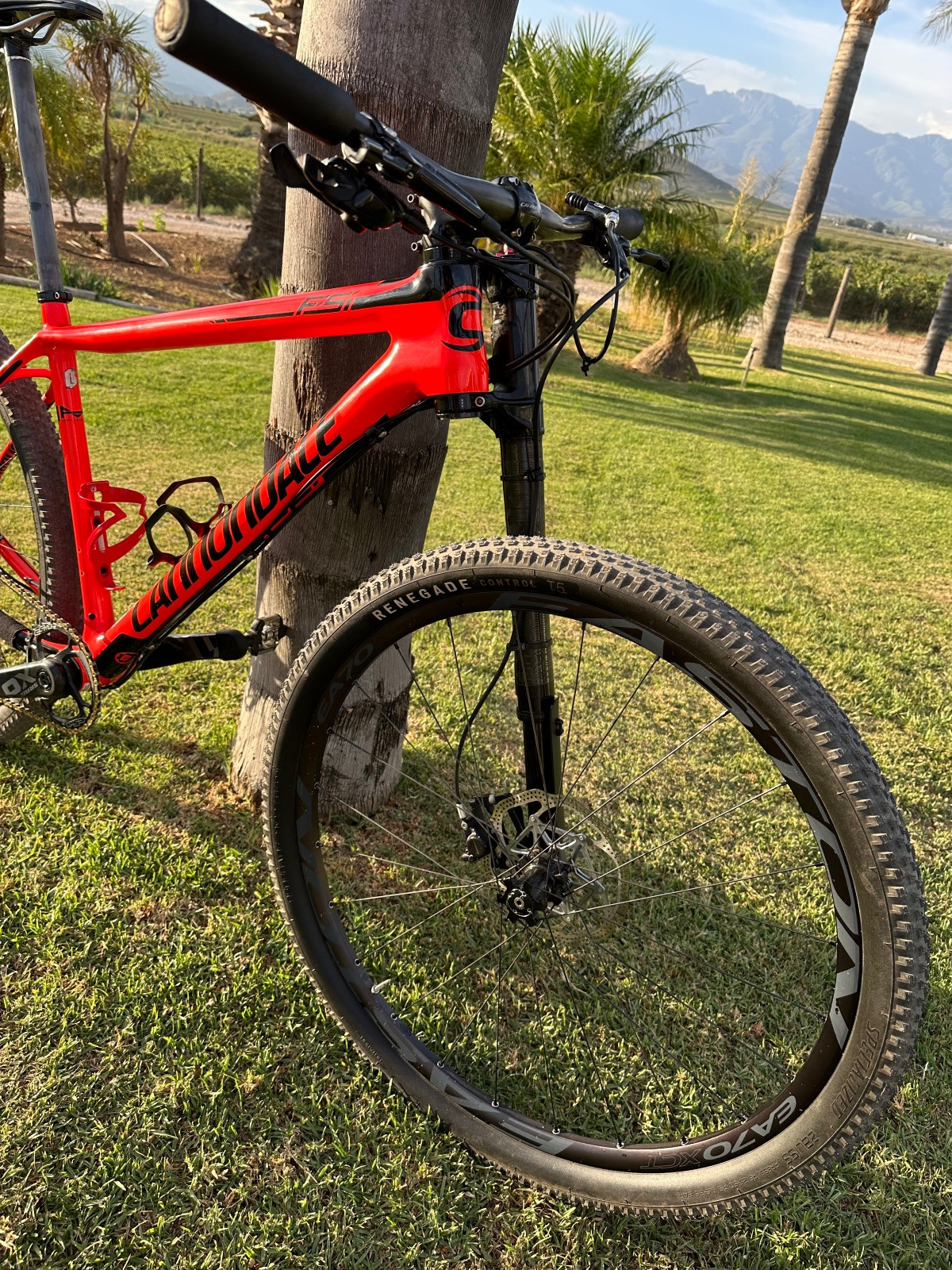 Large Carbon Cannondale | Hardtail Mountain Bikes | Bike Hub