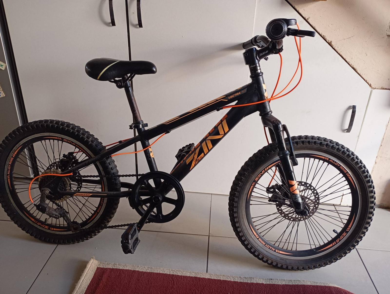 Zini Vectra 20" Bicycle | Kids Bikes | Bike Hub