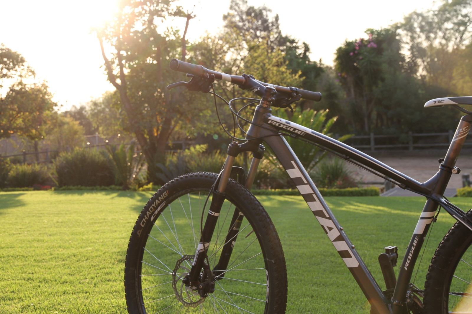 Titan Peak Rogue 29er | Hardtail Mountain Bikes | Bike Hub