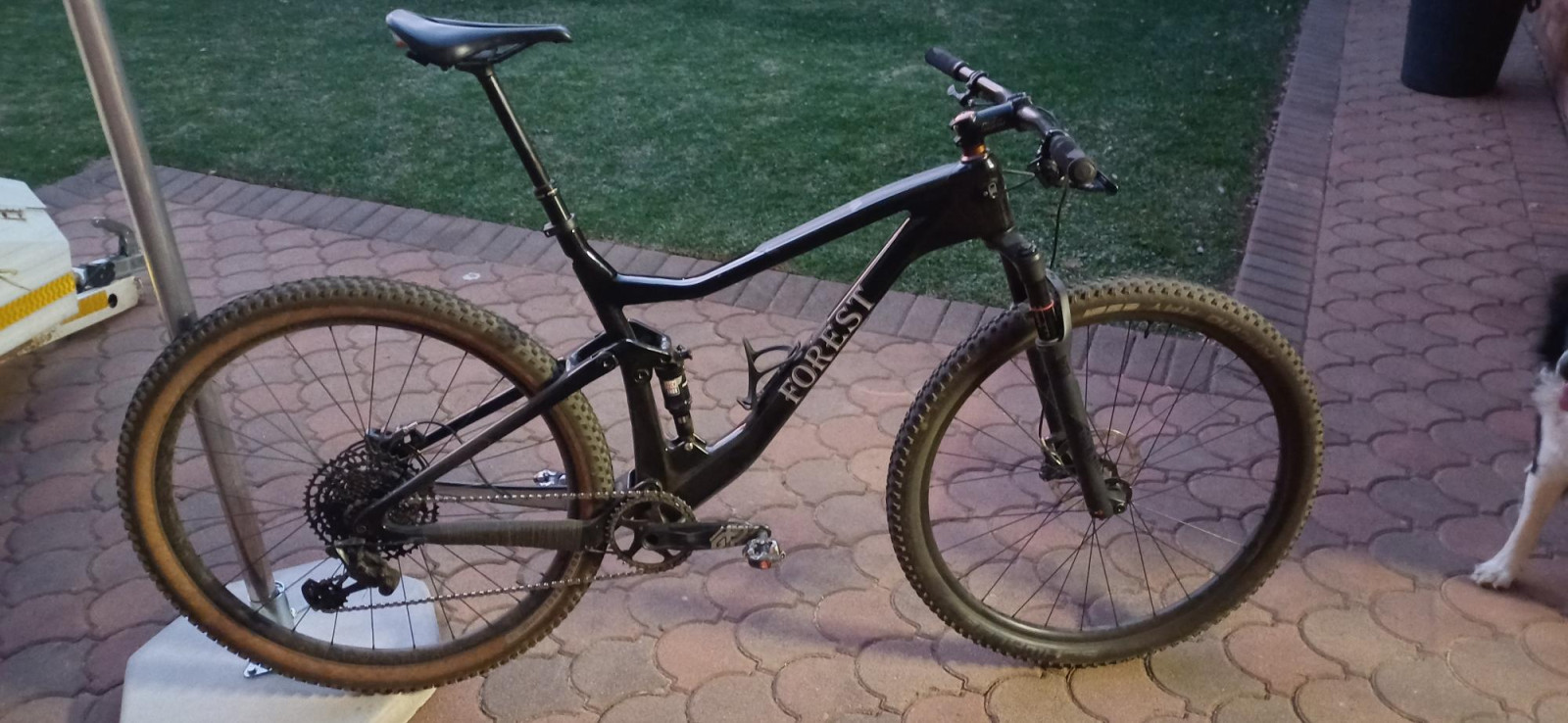 FOREST MTB (CUSTOM) | Dual Suspension Mountain Bikes | Bike Hub