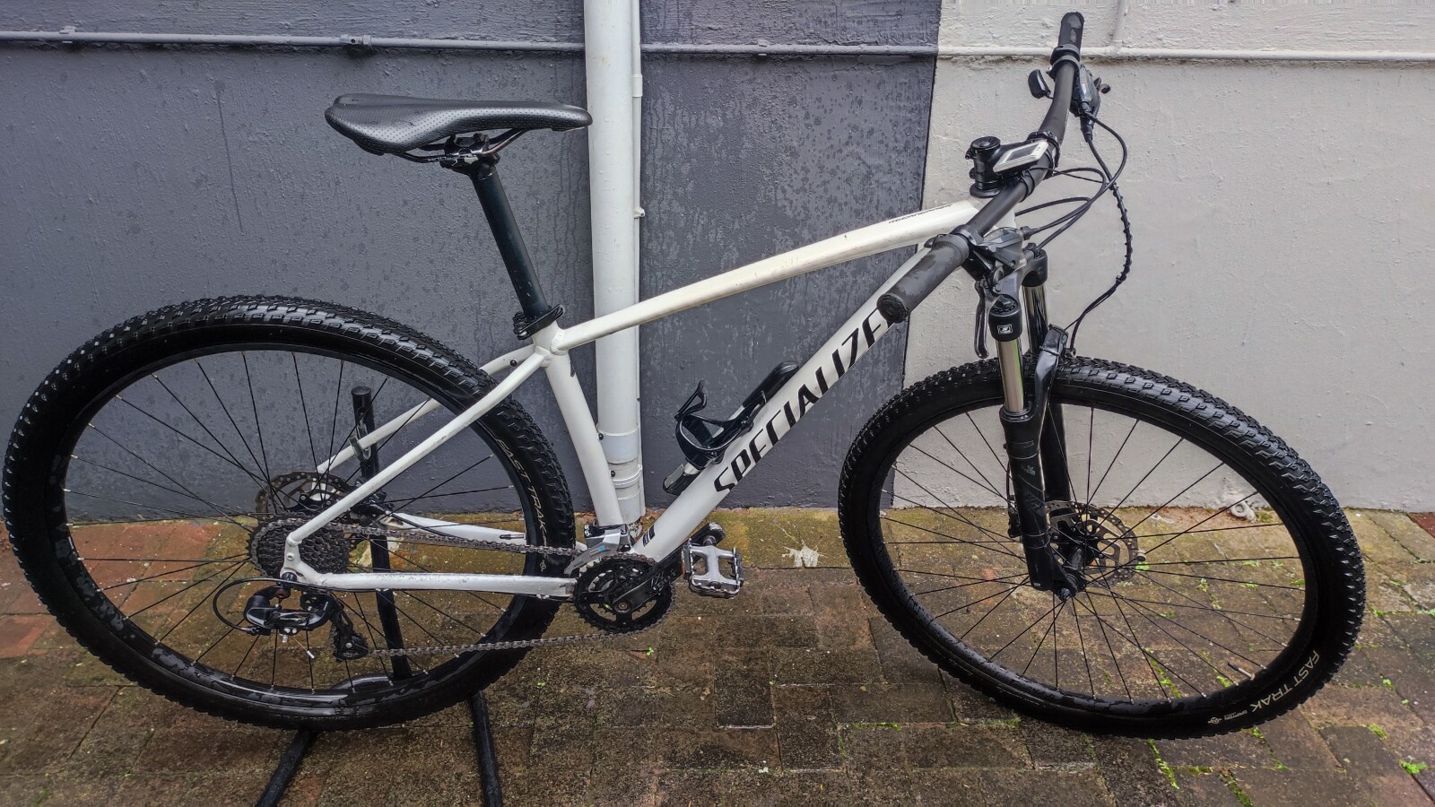Specialized Rockhopper 29 (M) | Hardtail Mountain Bikes | Bike Hub