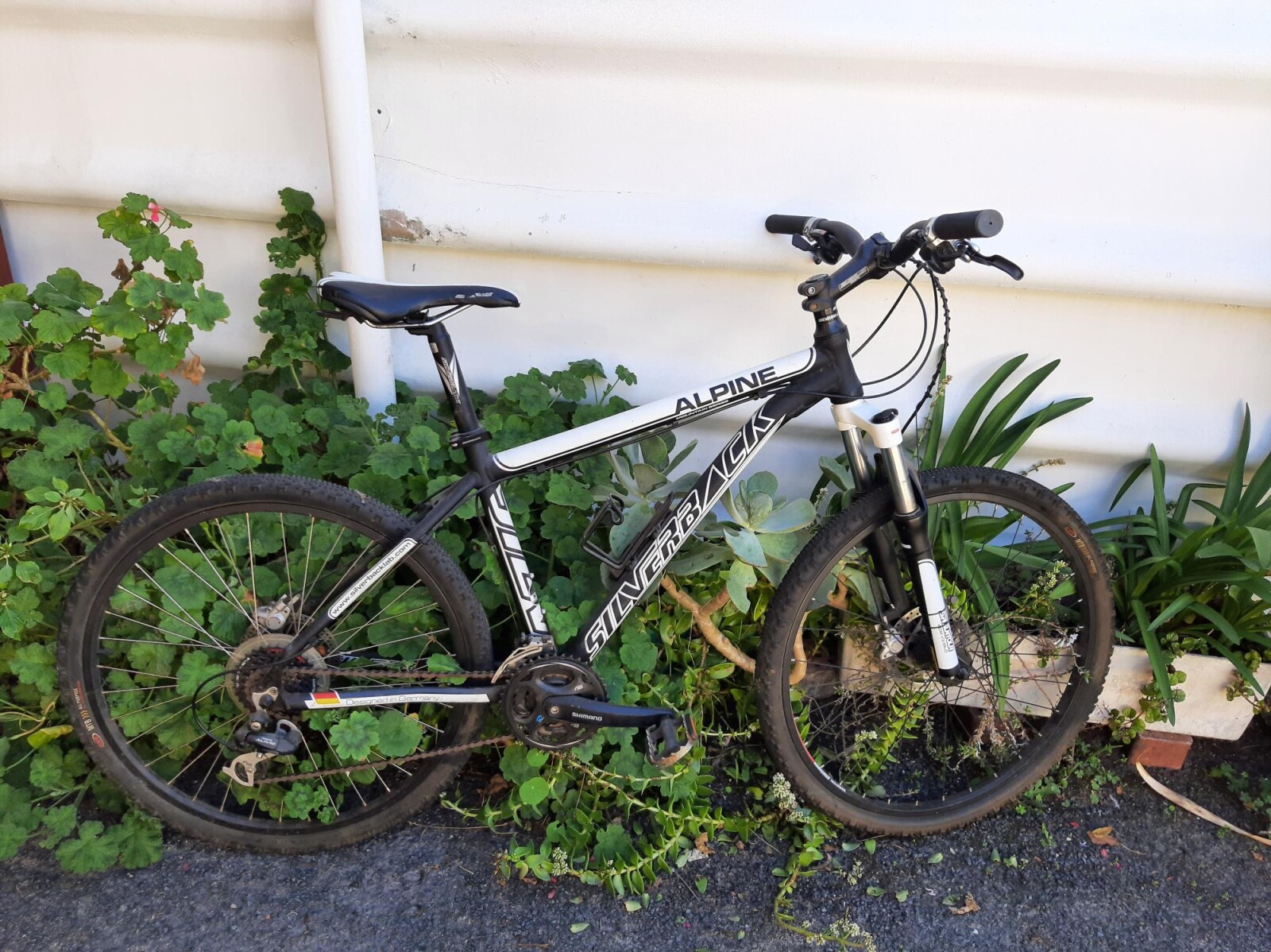 Alpine Silverback | Hardtail Mountain Bikes | Bike Hub