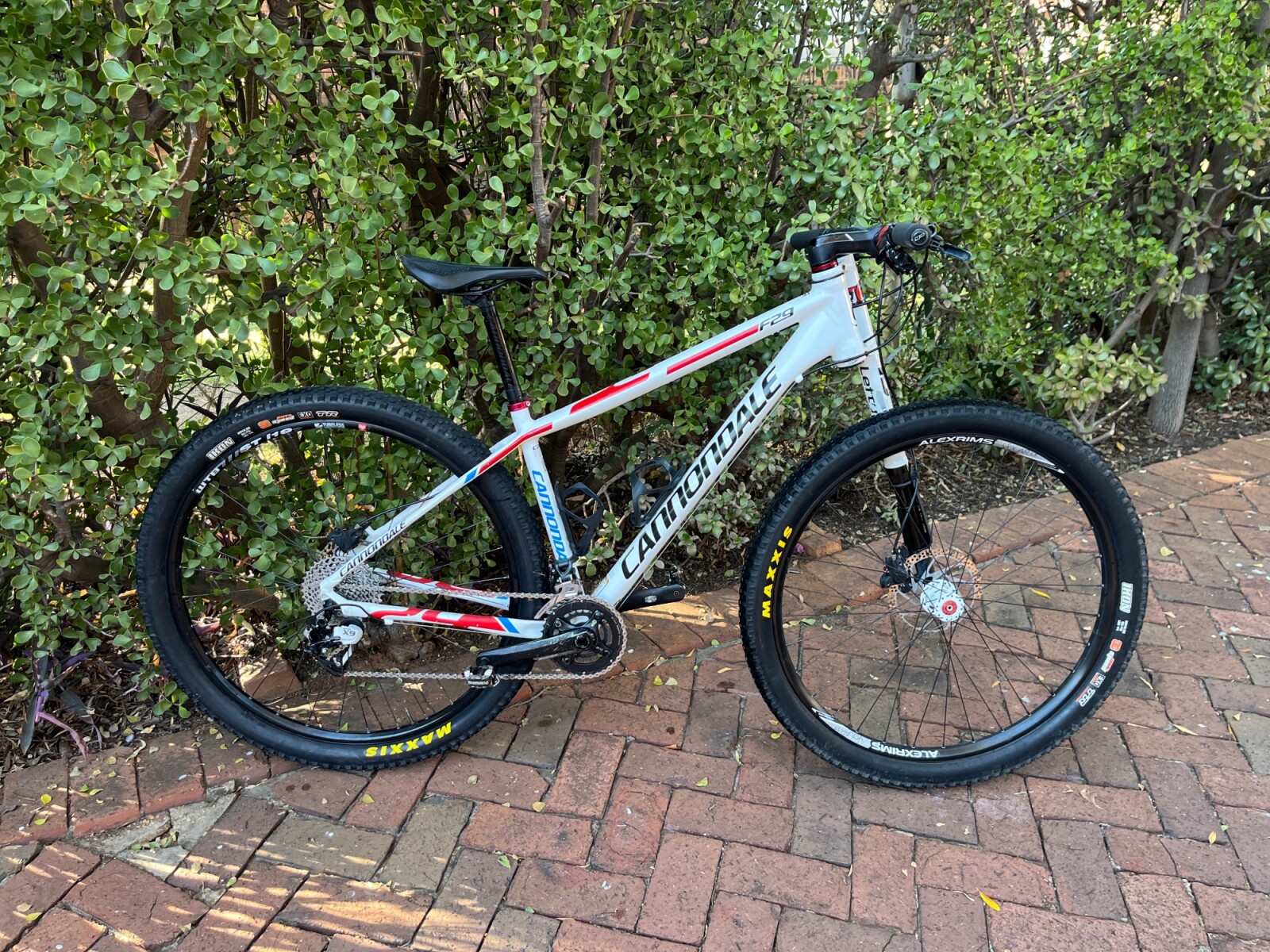 Cannondale F29 Hardtail Lefty | Hardtail Mountain Bikes | Bike Hub