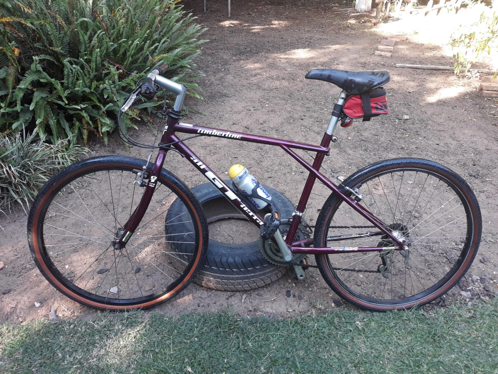 Timberline | Single Speed Bikes | Bike Hub