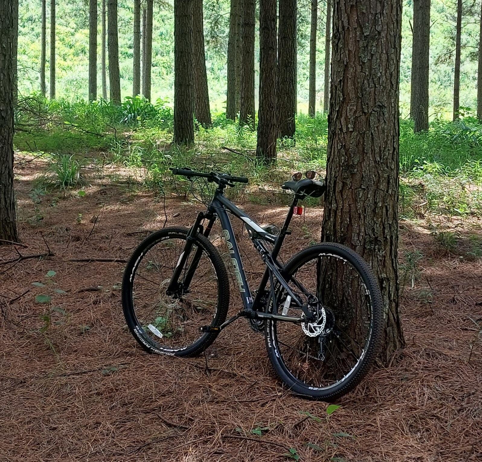 Raleigh 29" Terrain FRS Mountain Bike | Dual Suspension Mountain Bikes ...