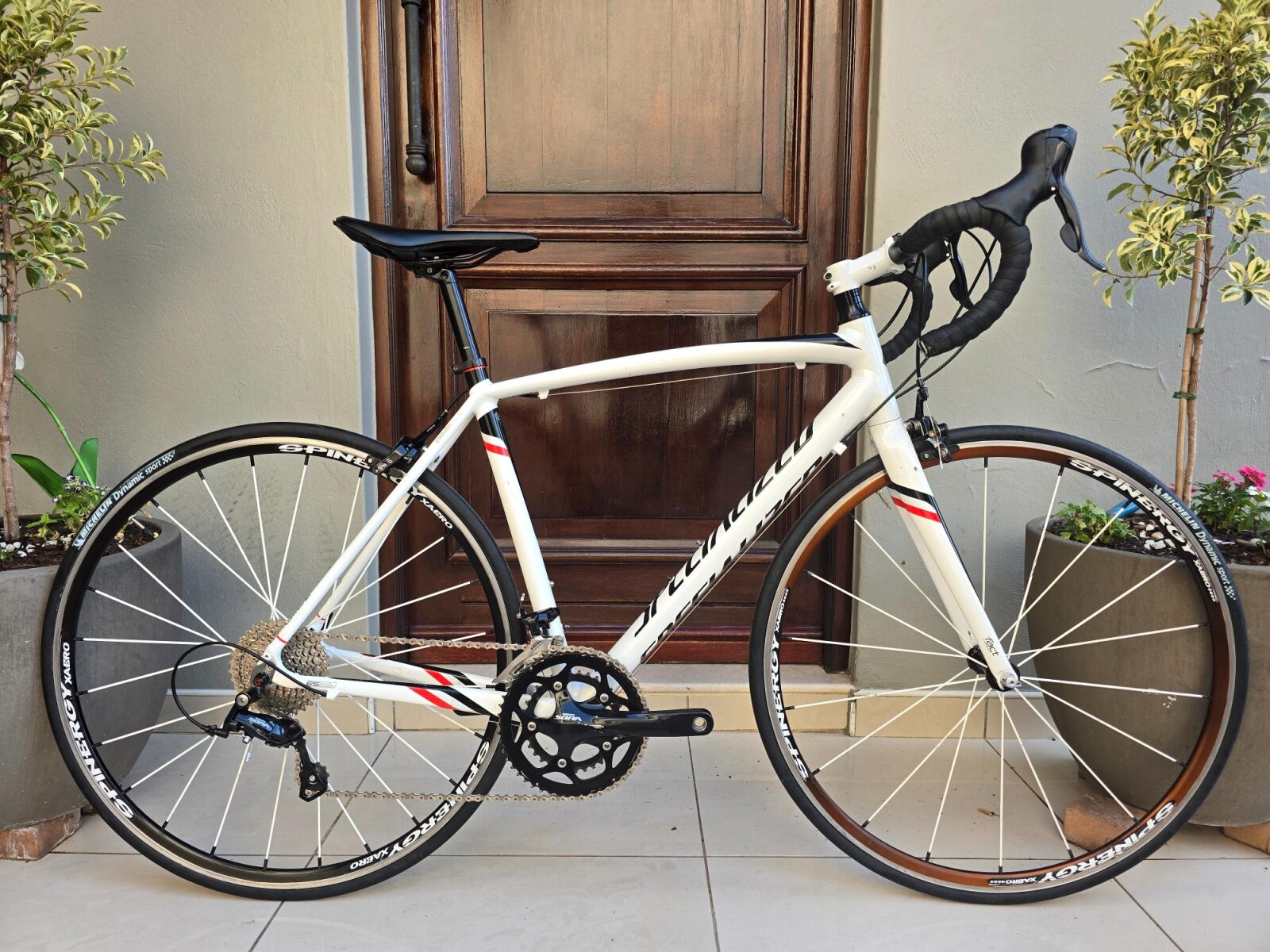 SPECIALIZED ALLEZ COMP (54cm) **SOLD** | Road Bikes | Bike Hub