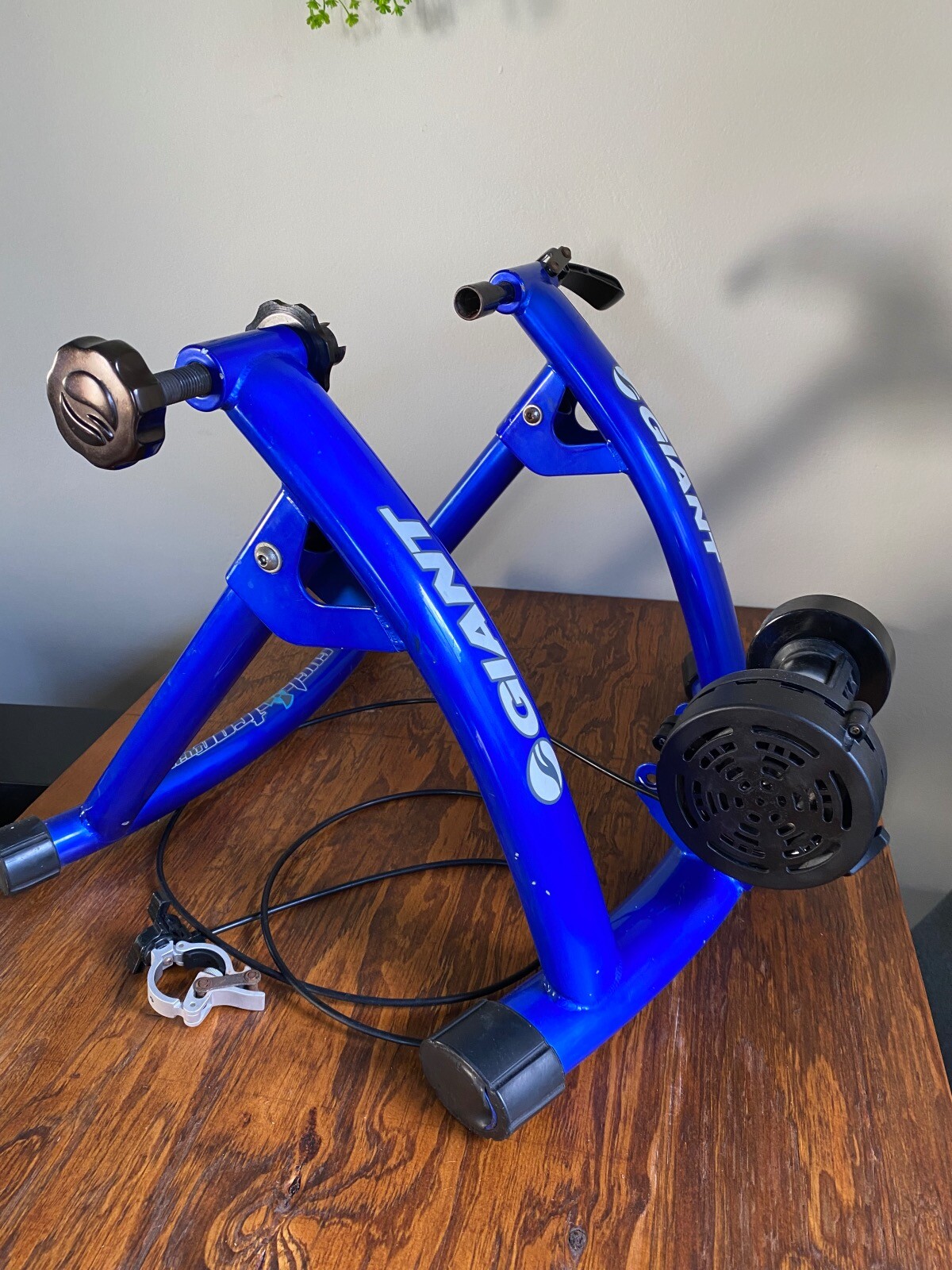 Giant Cyclotron Indoor Bike Trainer | Indoor Trainers & Accessories ...